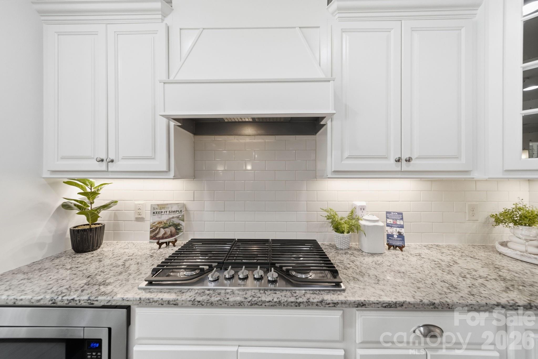 Photo 13 of 163 Monteray Oaks Circle, Fort Mill, SC