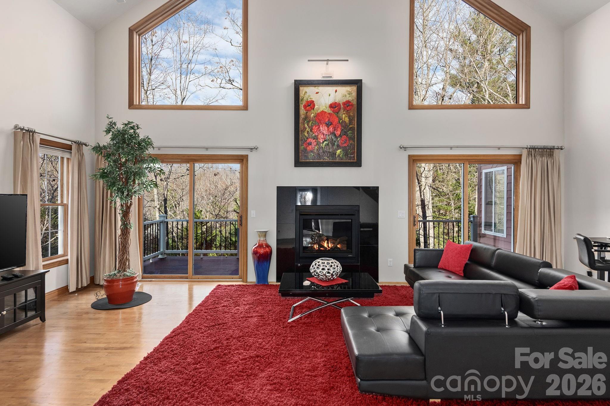 125 Buffalo Trail, Asheville, NC - photo 5 of 39