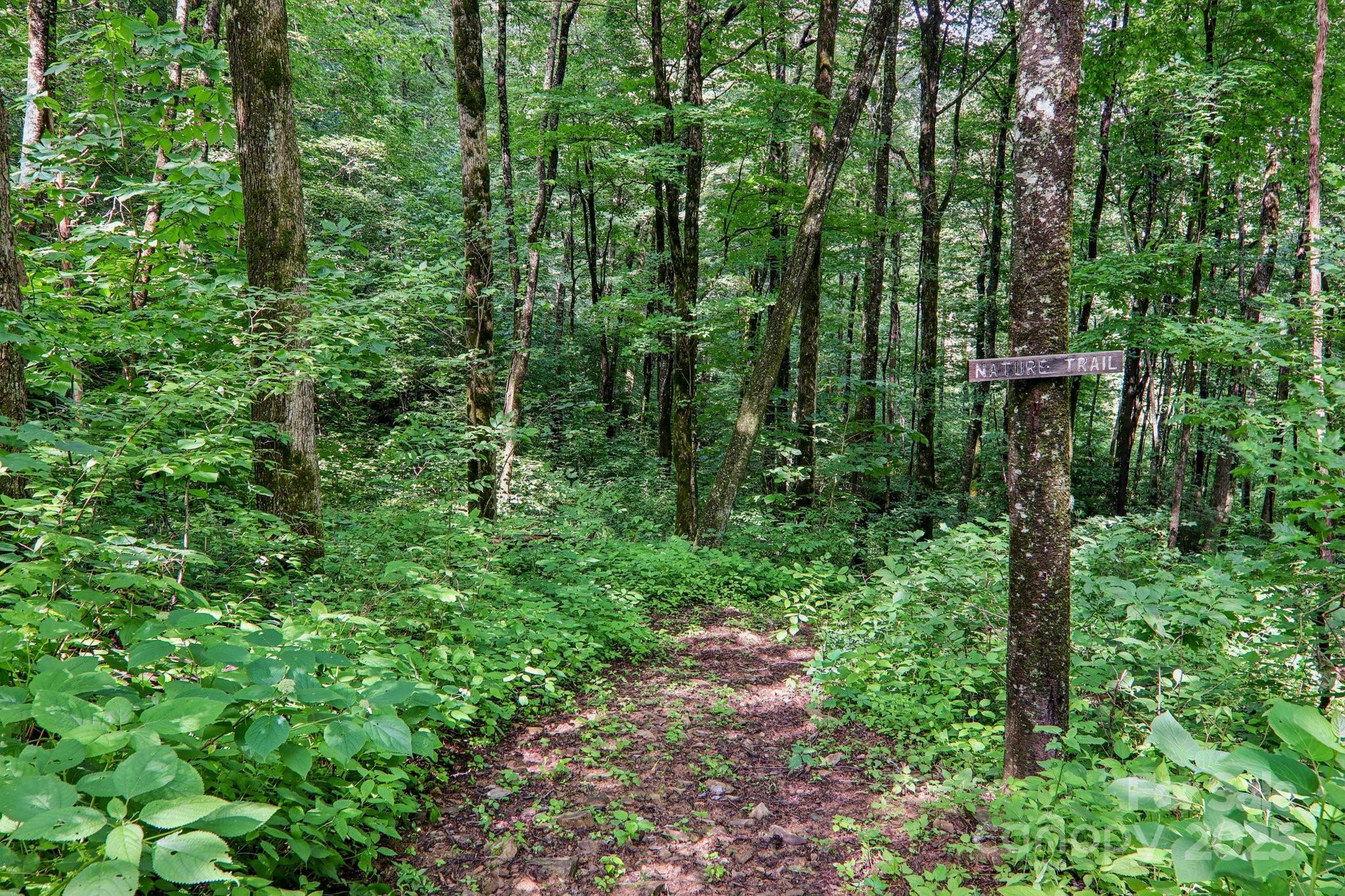 2171 Black Rock Road, Cherokee, NC - photo 36 of 37
