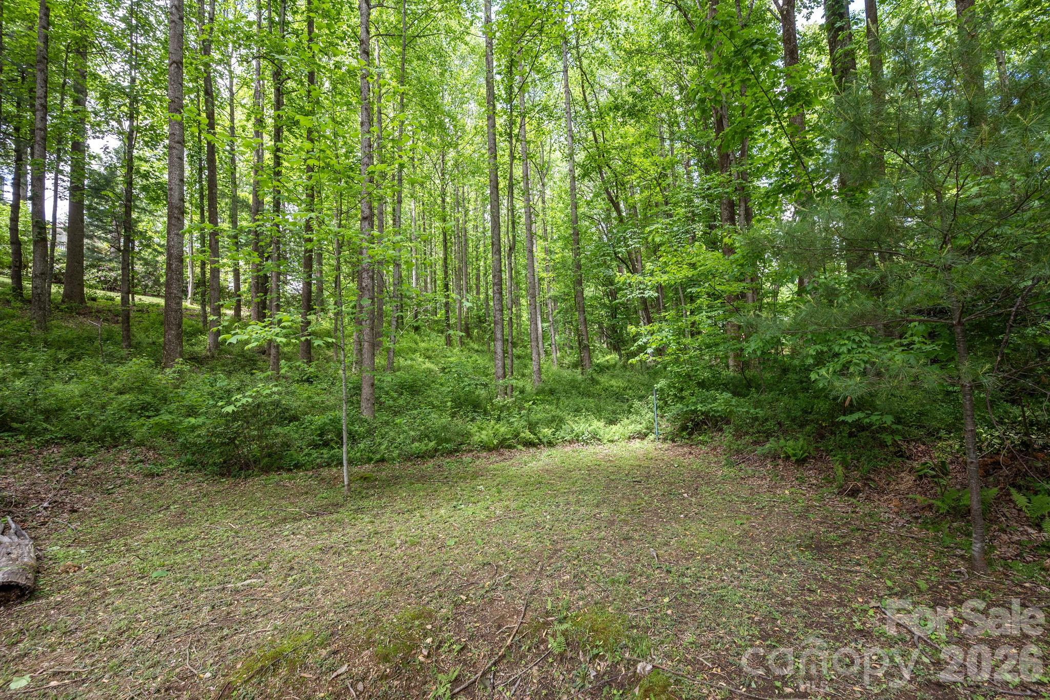 113 CHANCERY Court, Flat Rock, NC - photo 41 of 46