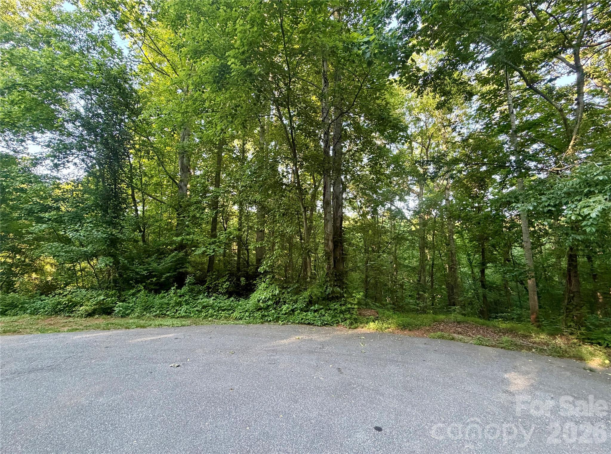 1227 Shirebourn None, Hickory, NC - photo 47 of 48
