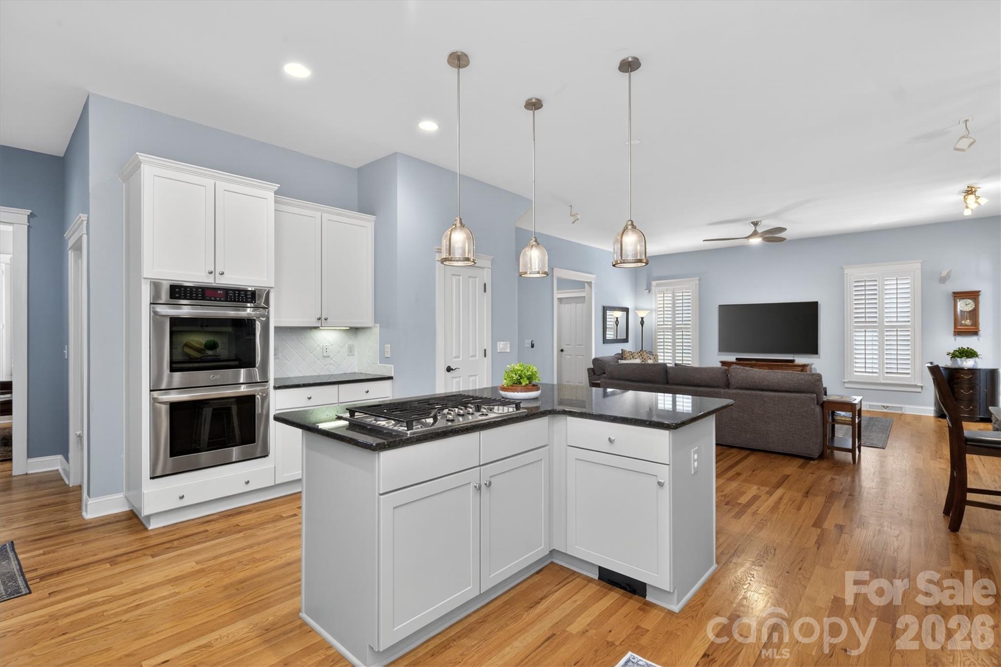 189 Mills Lane, Fort Mill, SC - photo 8 of 49