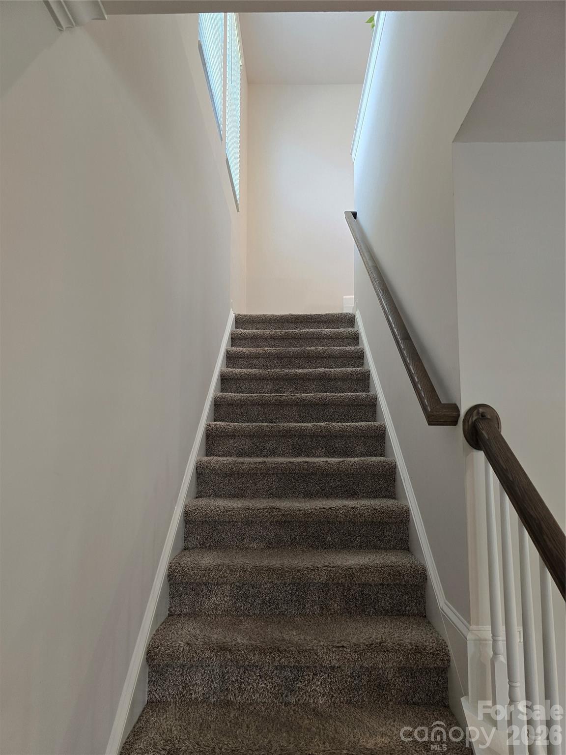 1221 Colgher Street, Charlotte, NC - photo 23 of 49