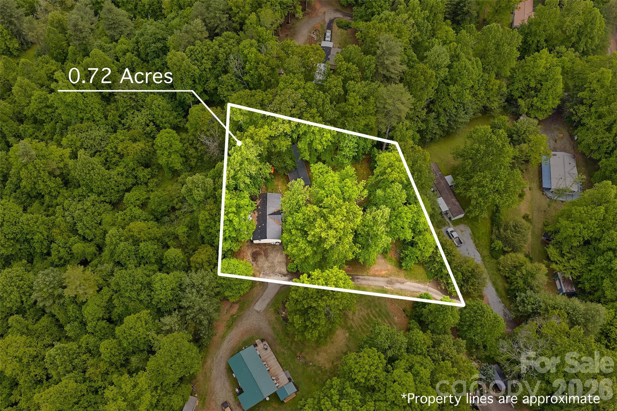 611 Turkey Creek Terrace, Leicester, NC - photo 39 of 43