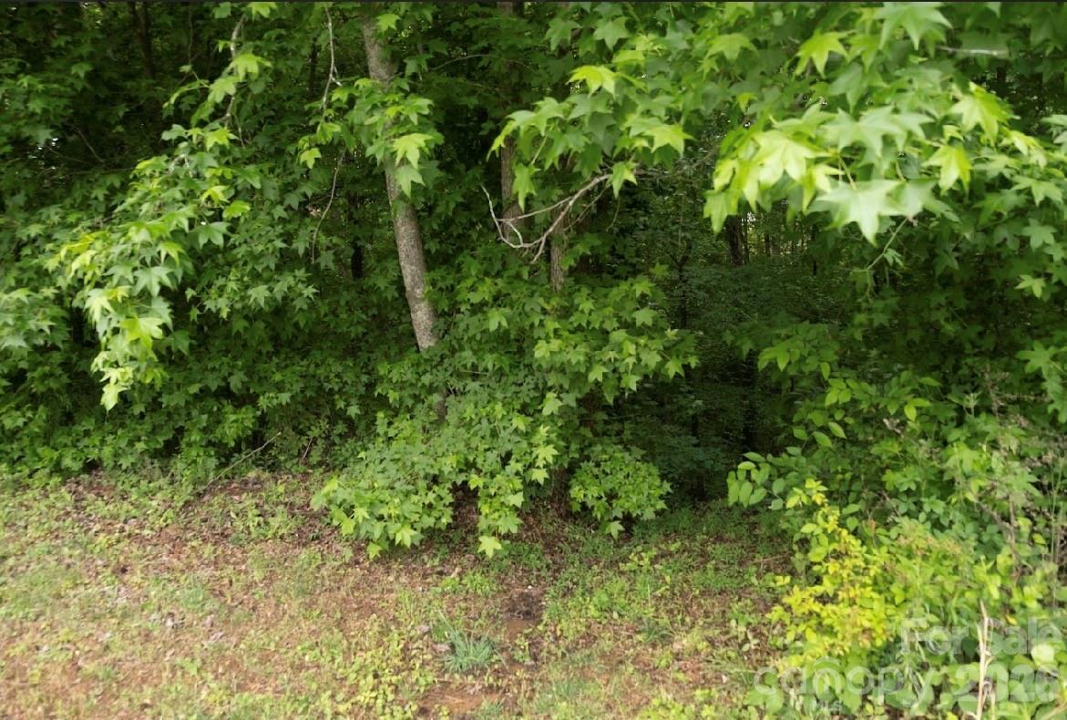 Photo 26 of 5942 Timbertop Lane, Charlotte, NC
