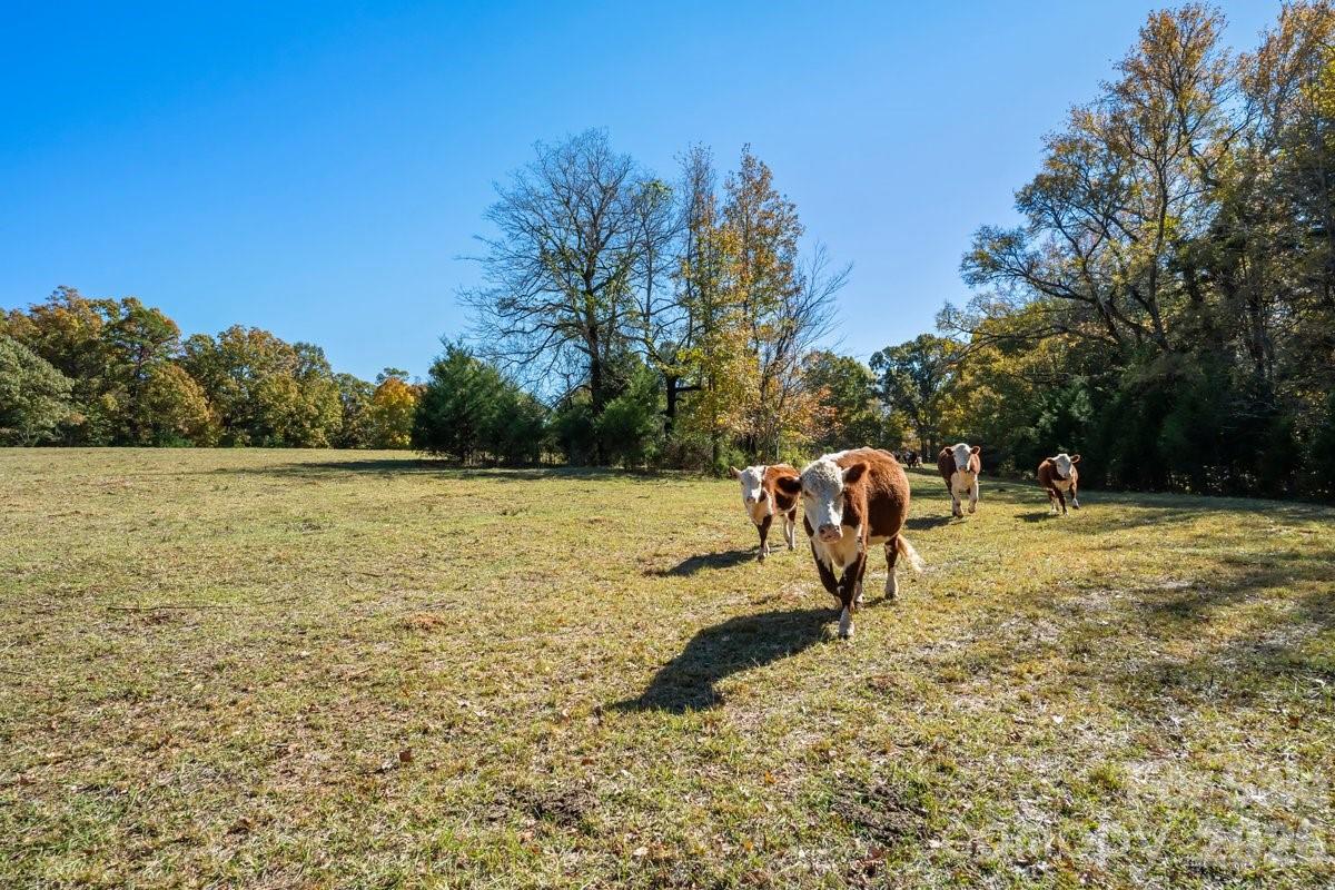 492 Starr Ridge Road, Gaffney, SC - photo 38 of 46