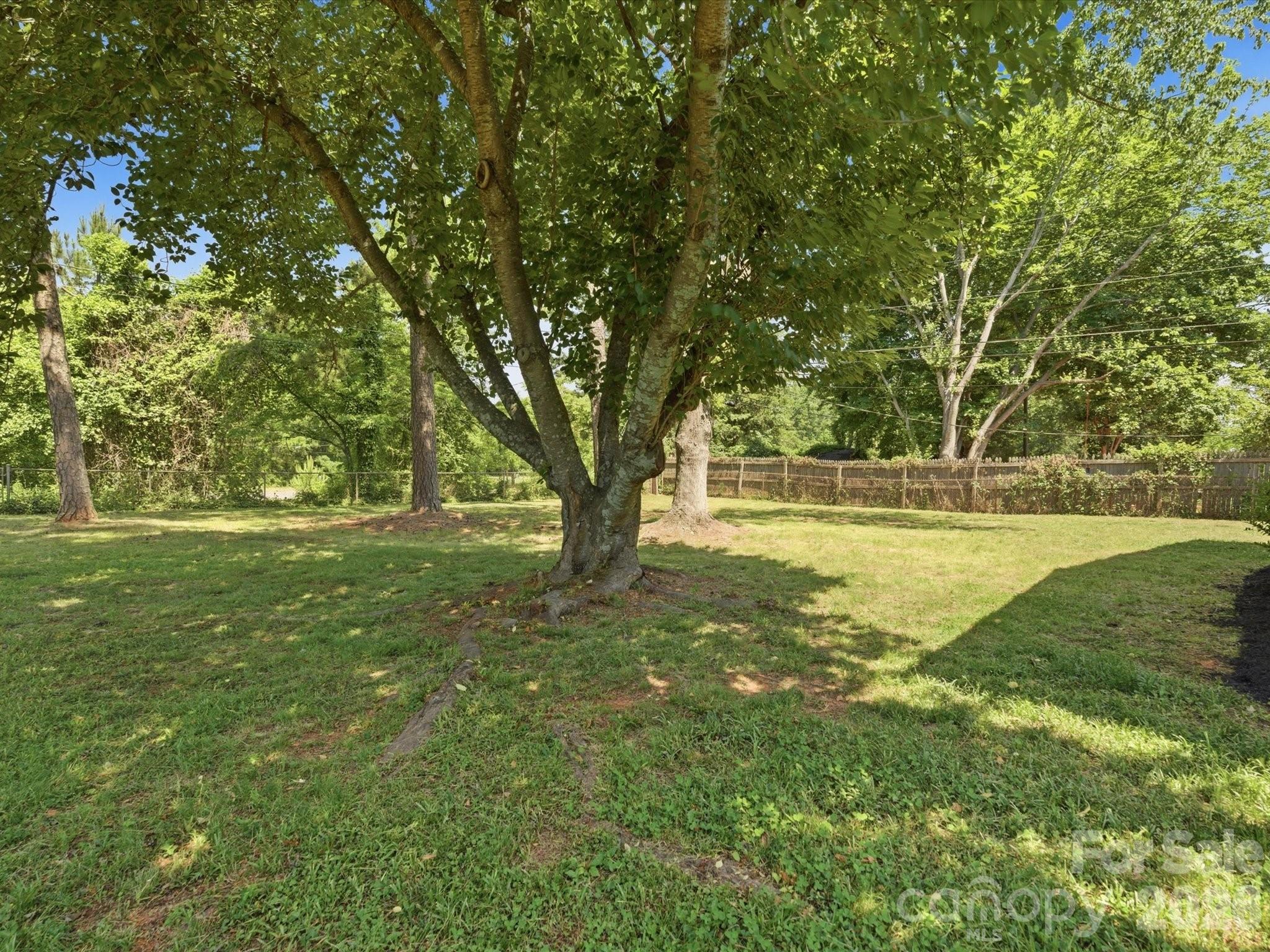 Photo 41 of 3633 Rosehaven Drive, Charlotte, NC