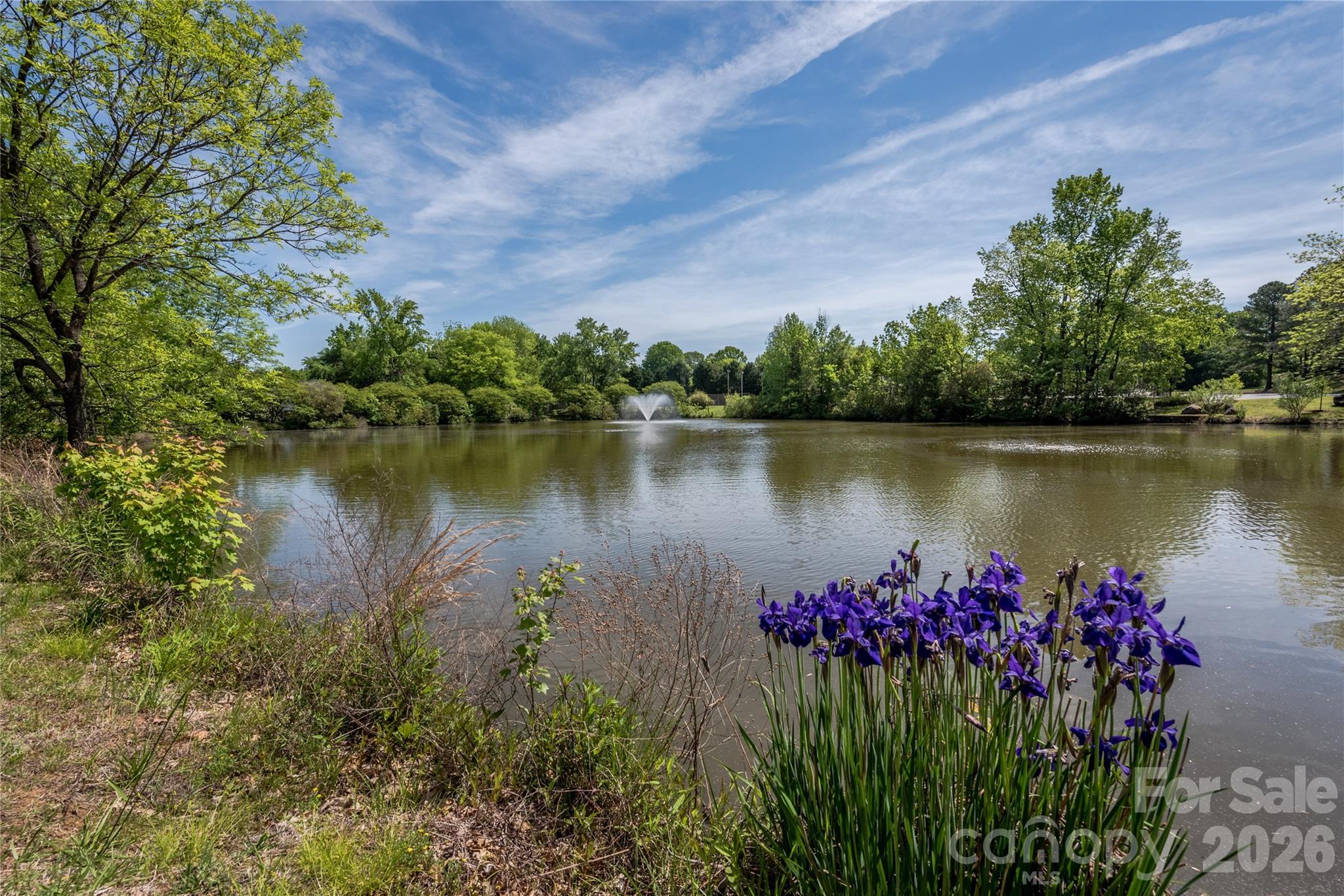 Photo 44 of 7306 Carrbridge Lane, Charlotte, NC