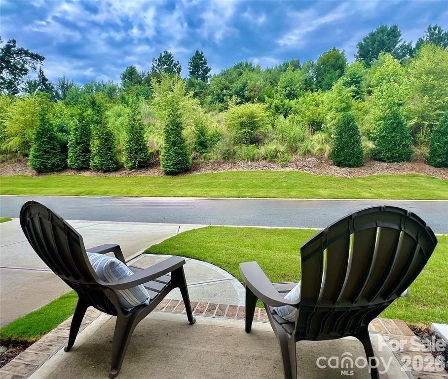 11139 Kilkenny Drive, Charlotte, NC - photo 37 of 49