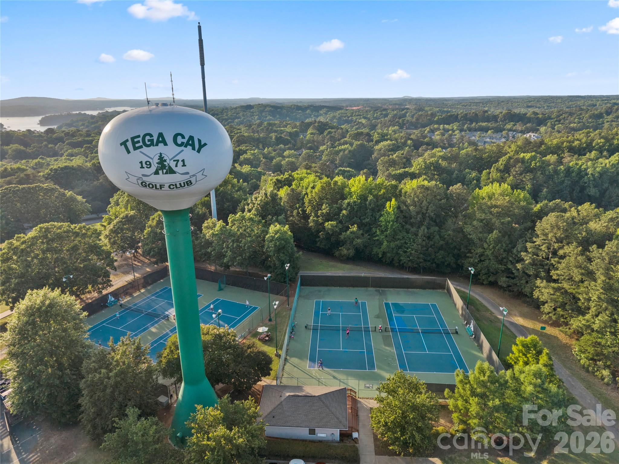 3072 Point Clear Drive, Tega Cay, SC - photo 42 of 48