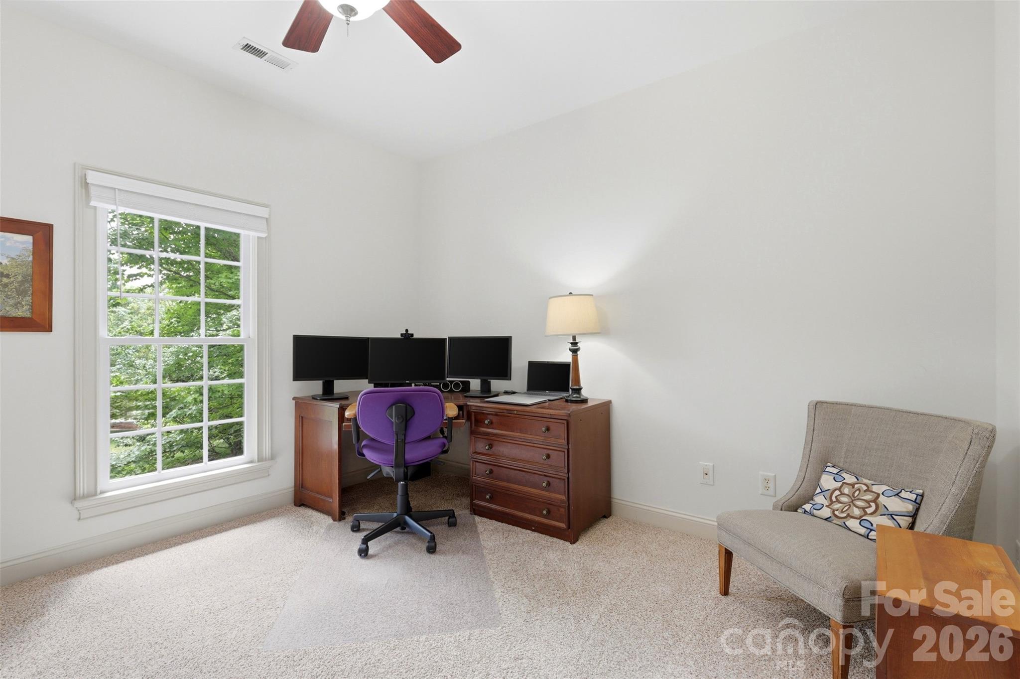 739 Julia Street, Fort Mill, SC - photo 22 of 49