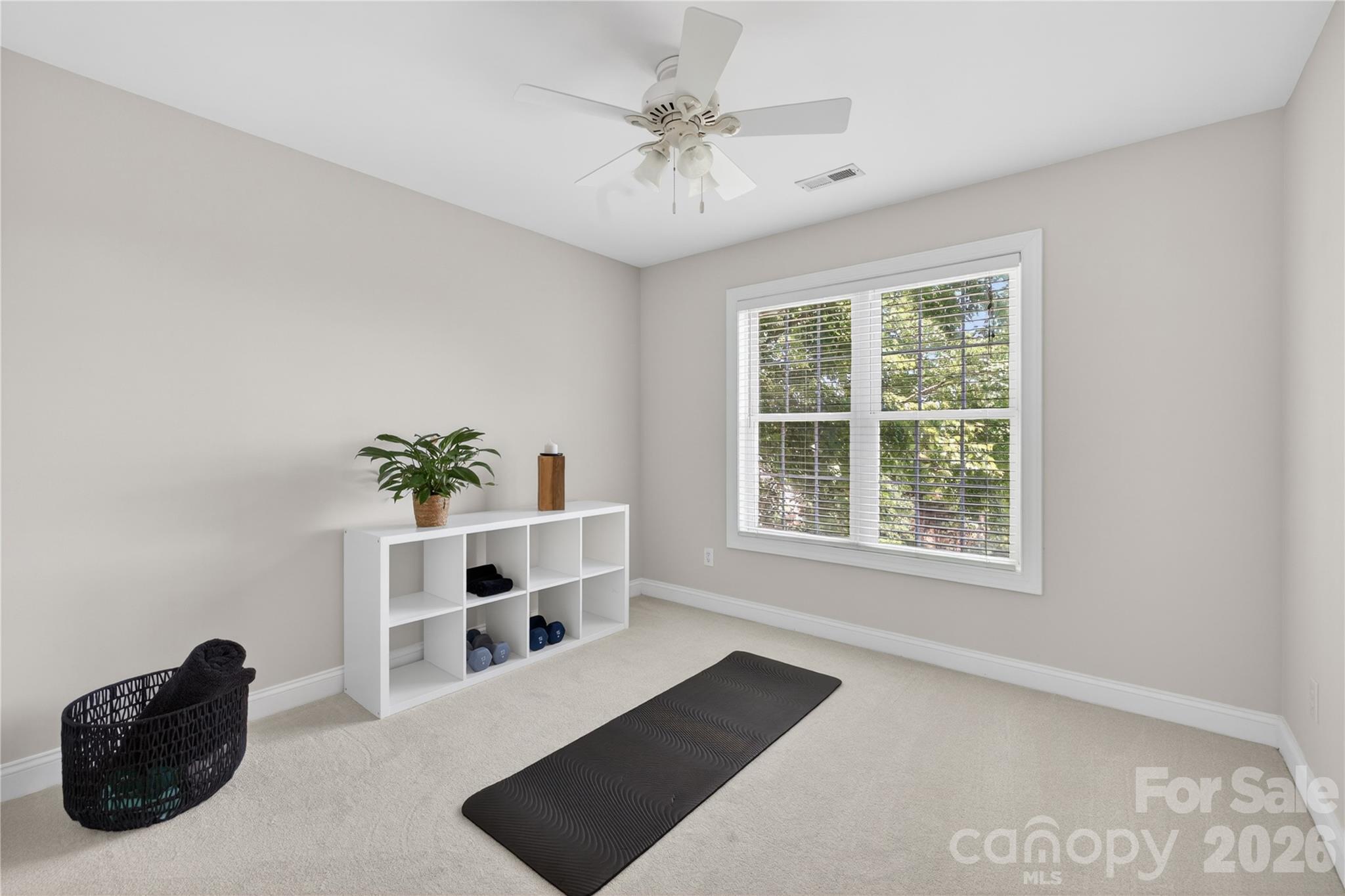1117 Legacy Lane, Fort Mill, SC - photo 23 of 36