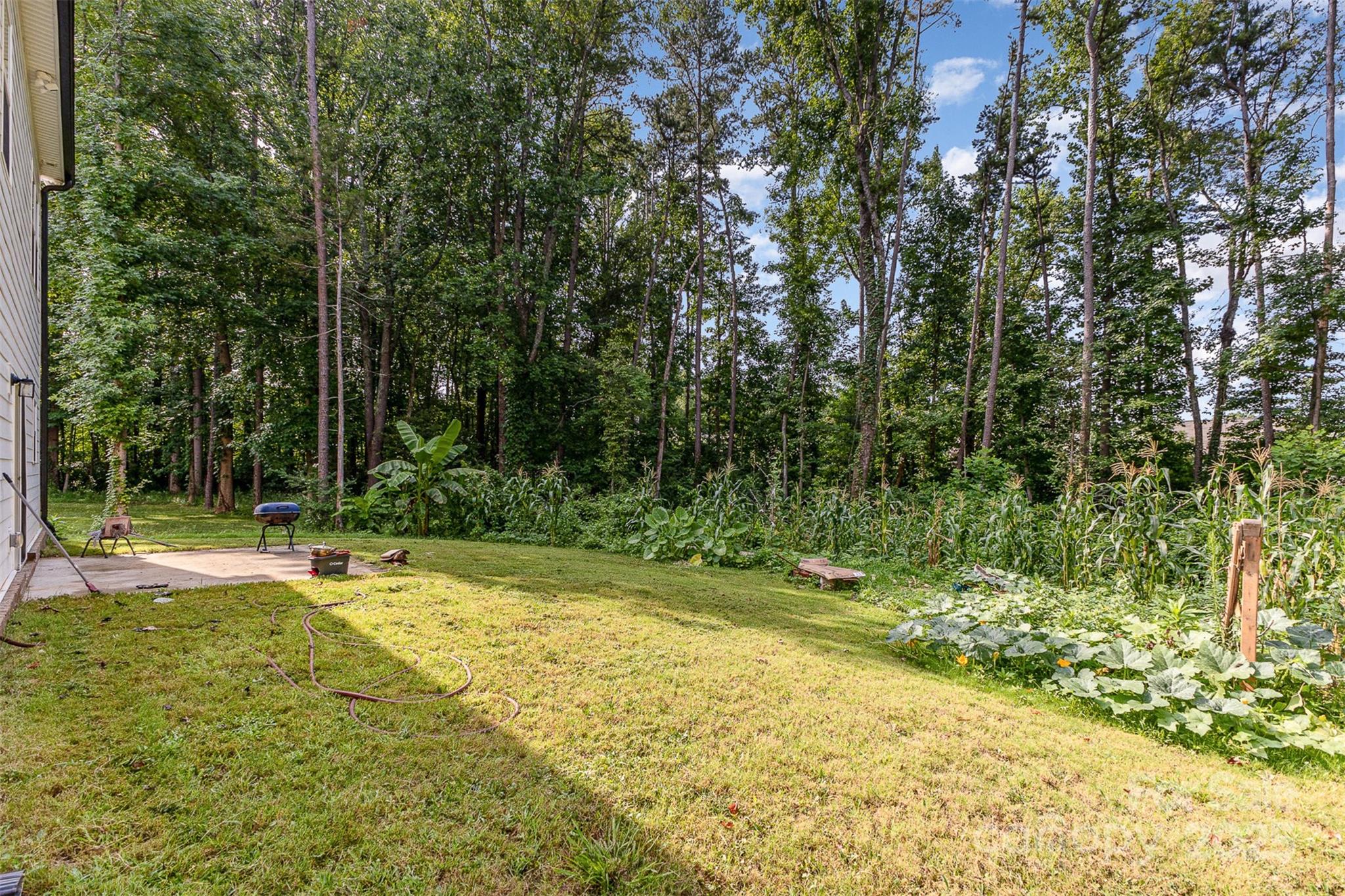 Photo 18 of 7725 Shalom Drive, Charlotte, NC
