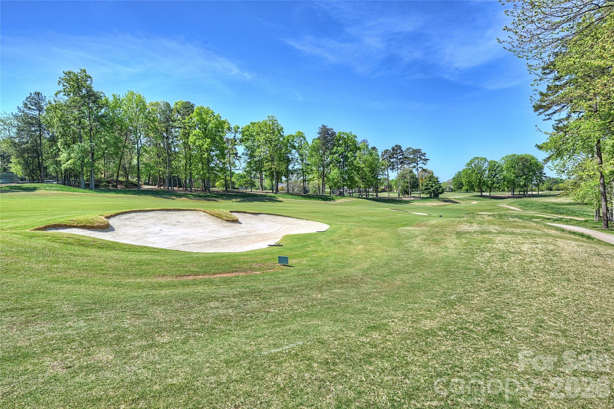 18300 Scotscraig Lane, Cornelius, NC - photo 47 of 49