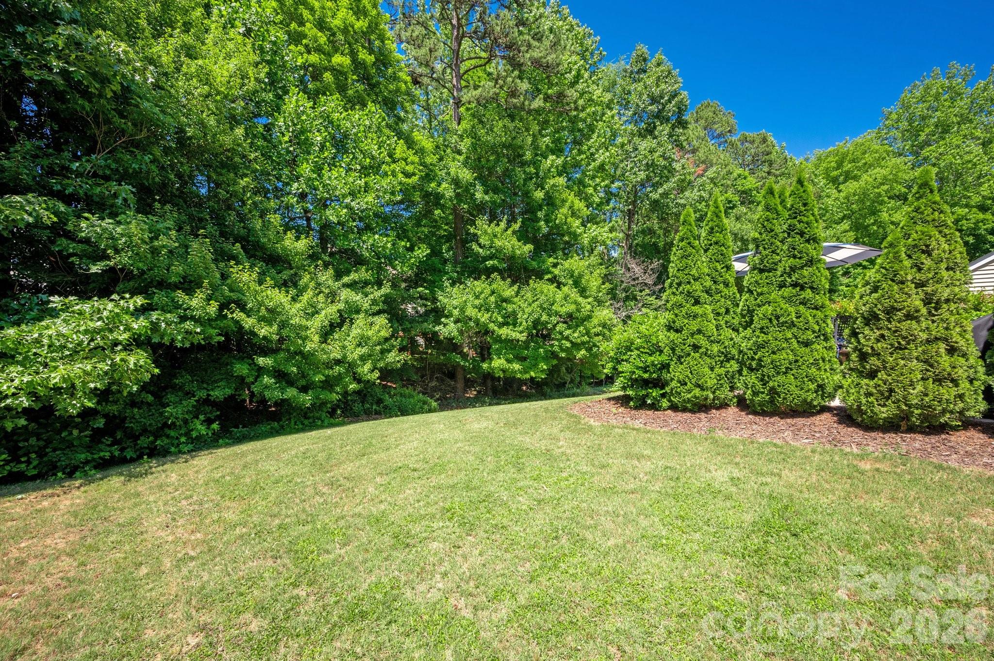 1265 Hamburg Court, Waxhaw, NC - photo 7 of 40