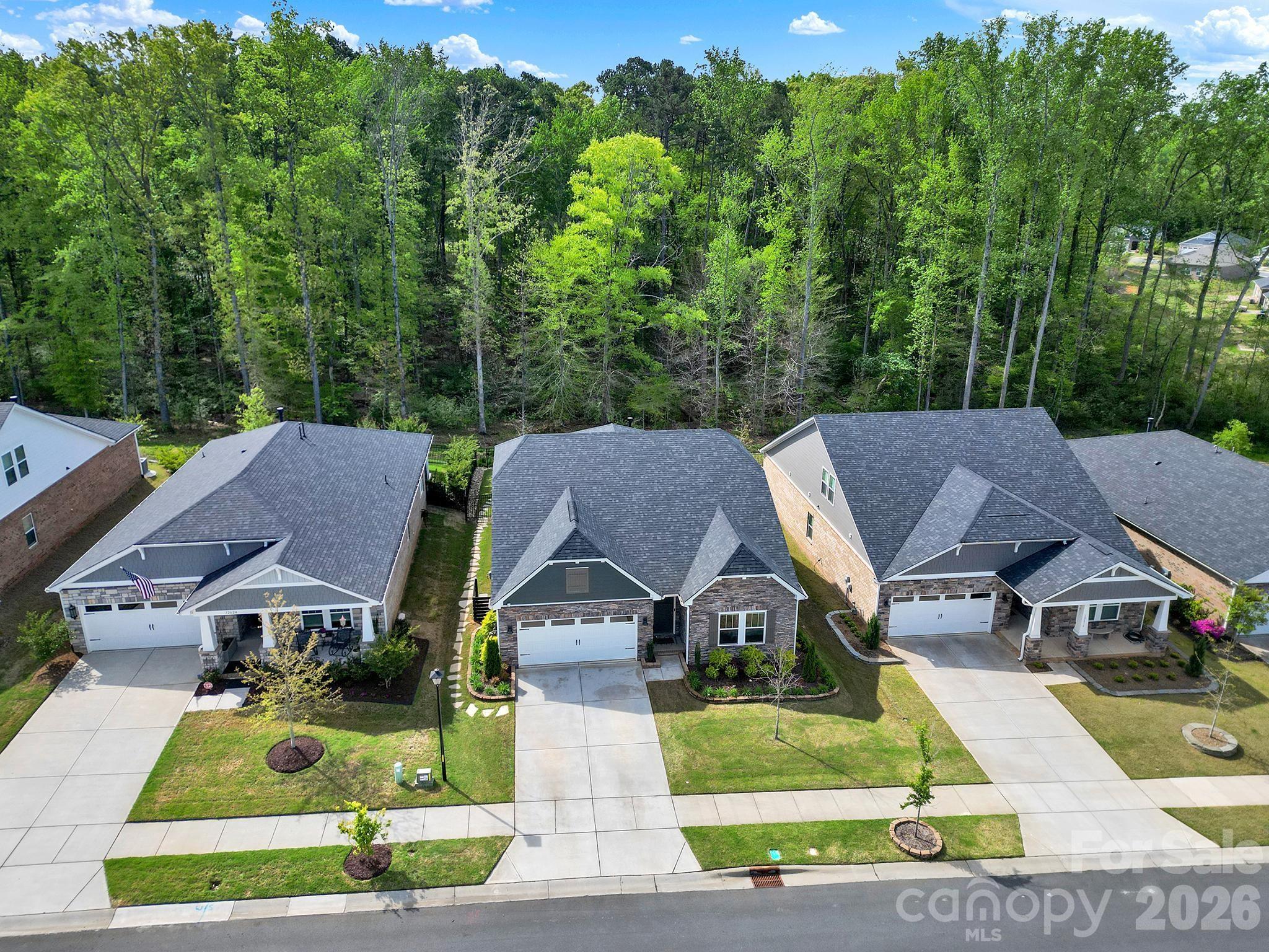 12620 Twilight Drive, Mint Hill, NC - photo 43 of 46