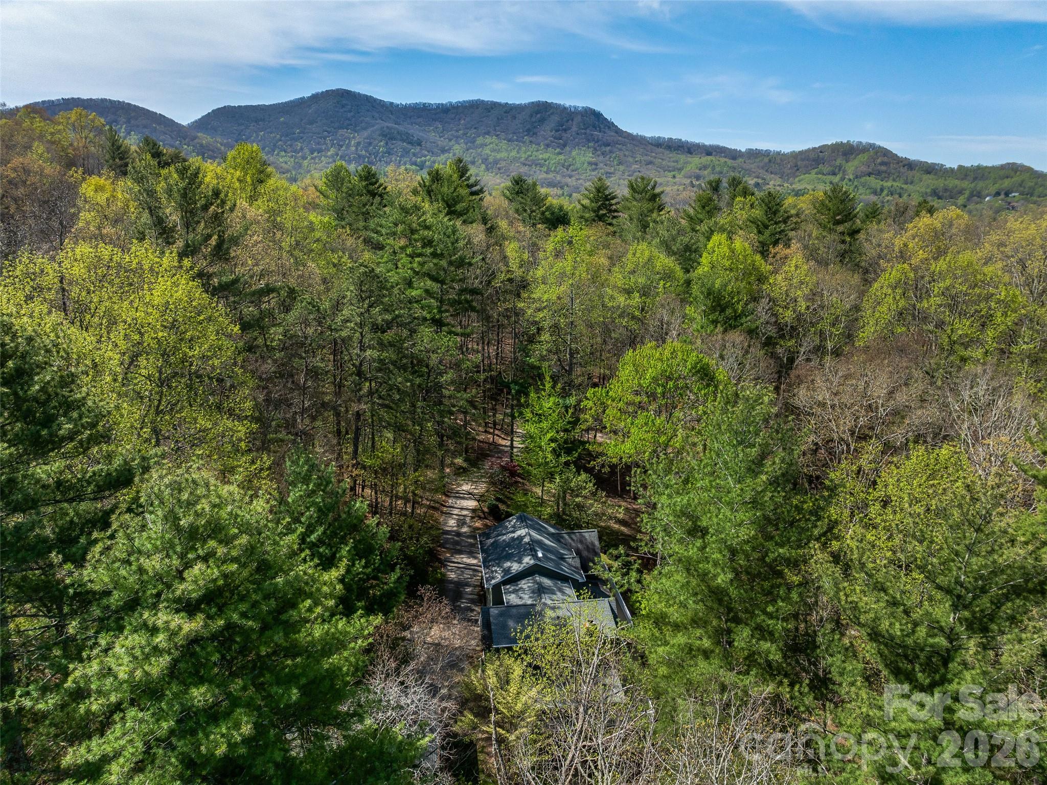 18 Thousand Oaks Boulevard, Fairview, NC - photo 40 of 45