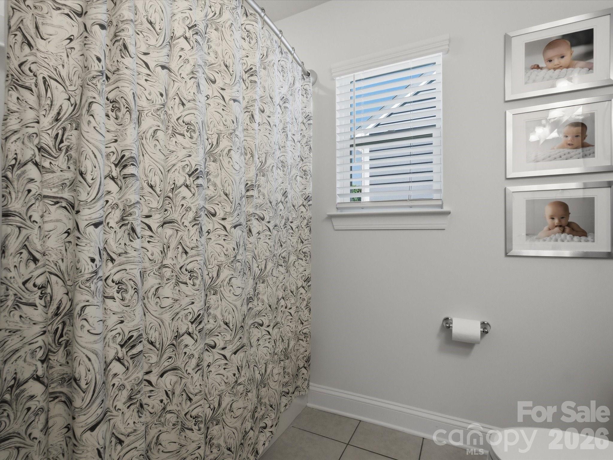 6024 Hampstead Pond Lane, Matthews, NC - photo 26 of 33