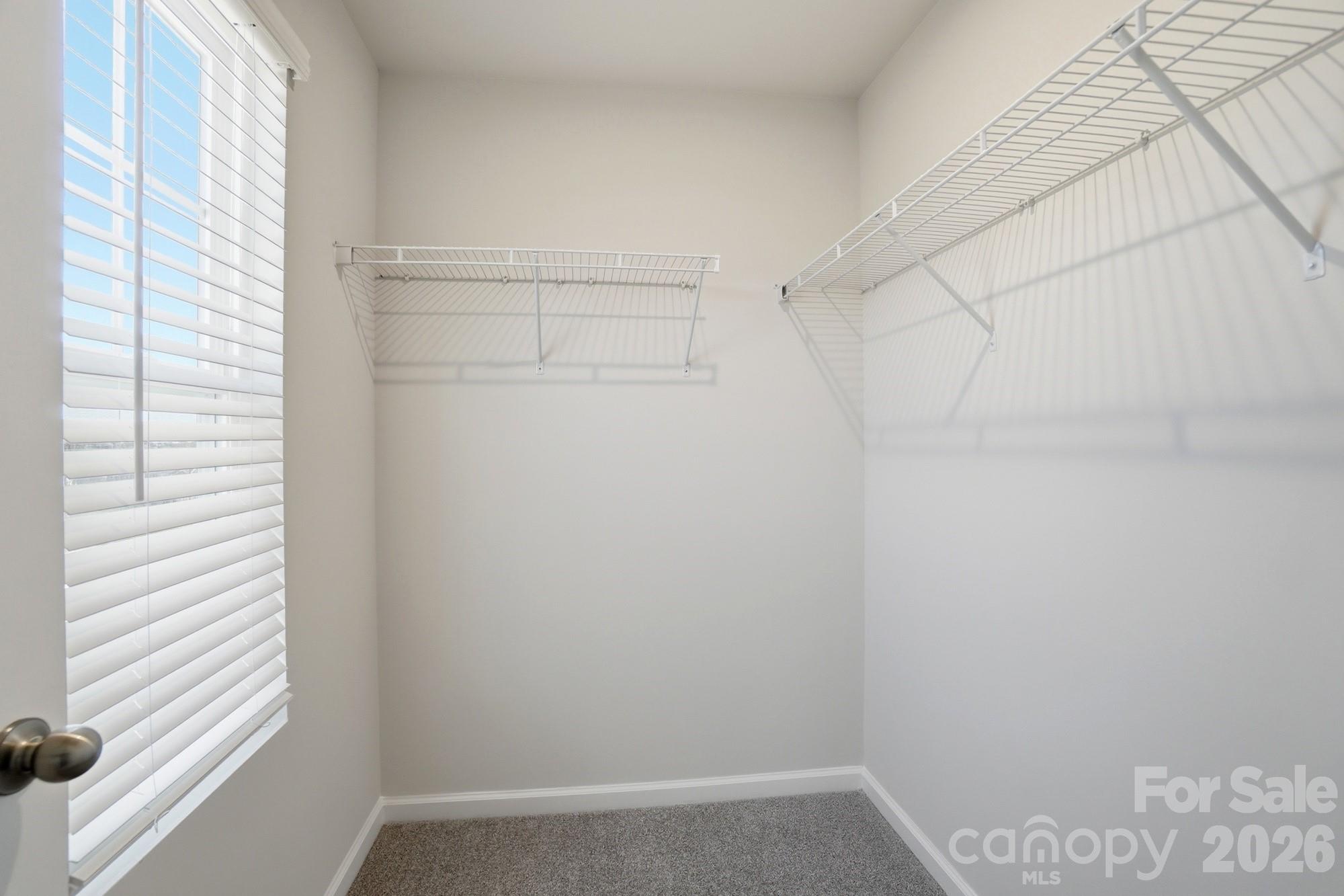 Photo 34 of 7005 Cerris Drive, Charlotte, NC