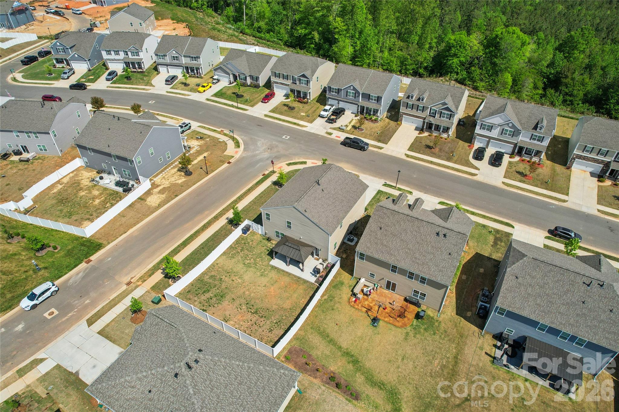 162 Giant Oak Avenue, Statesville, NC - photo 2 of 20