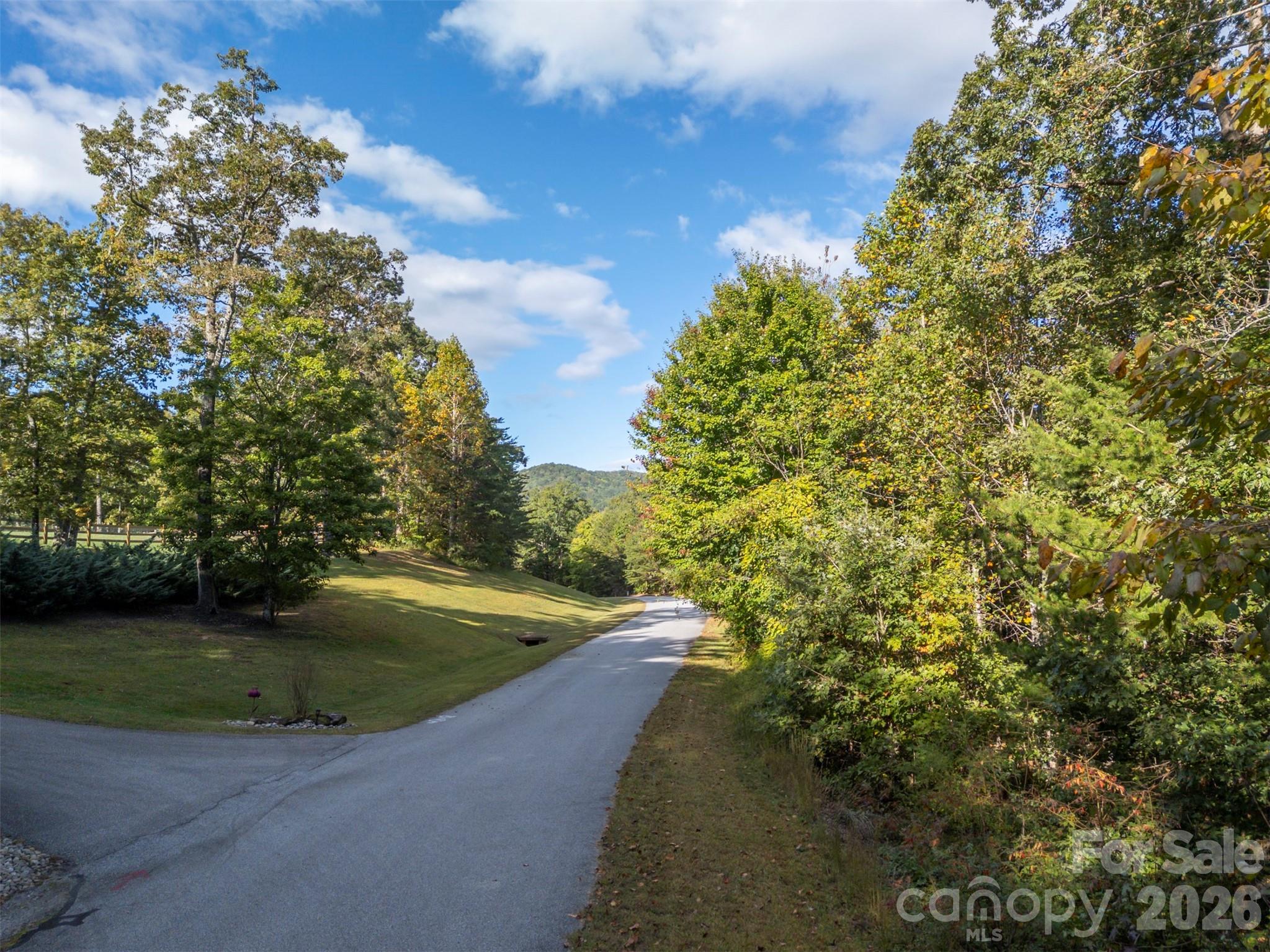 100 Pardo Road, Landrum, SC - photo 11 of 21