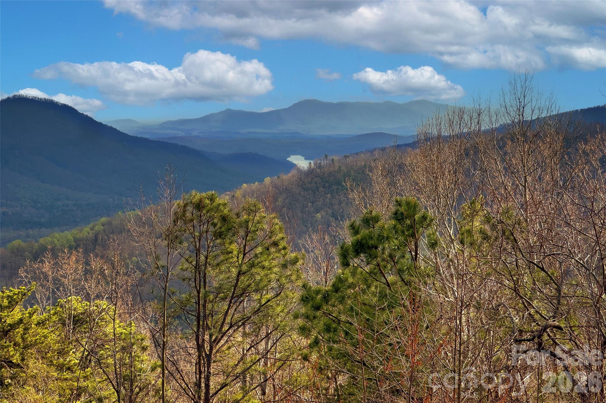 62 Skyline Drive, Old Fort, NC - photo 26 of 49