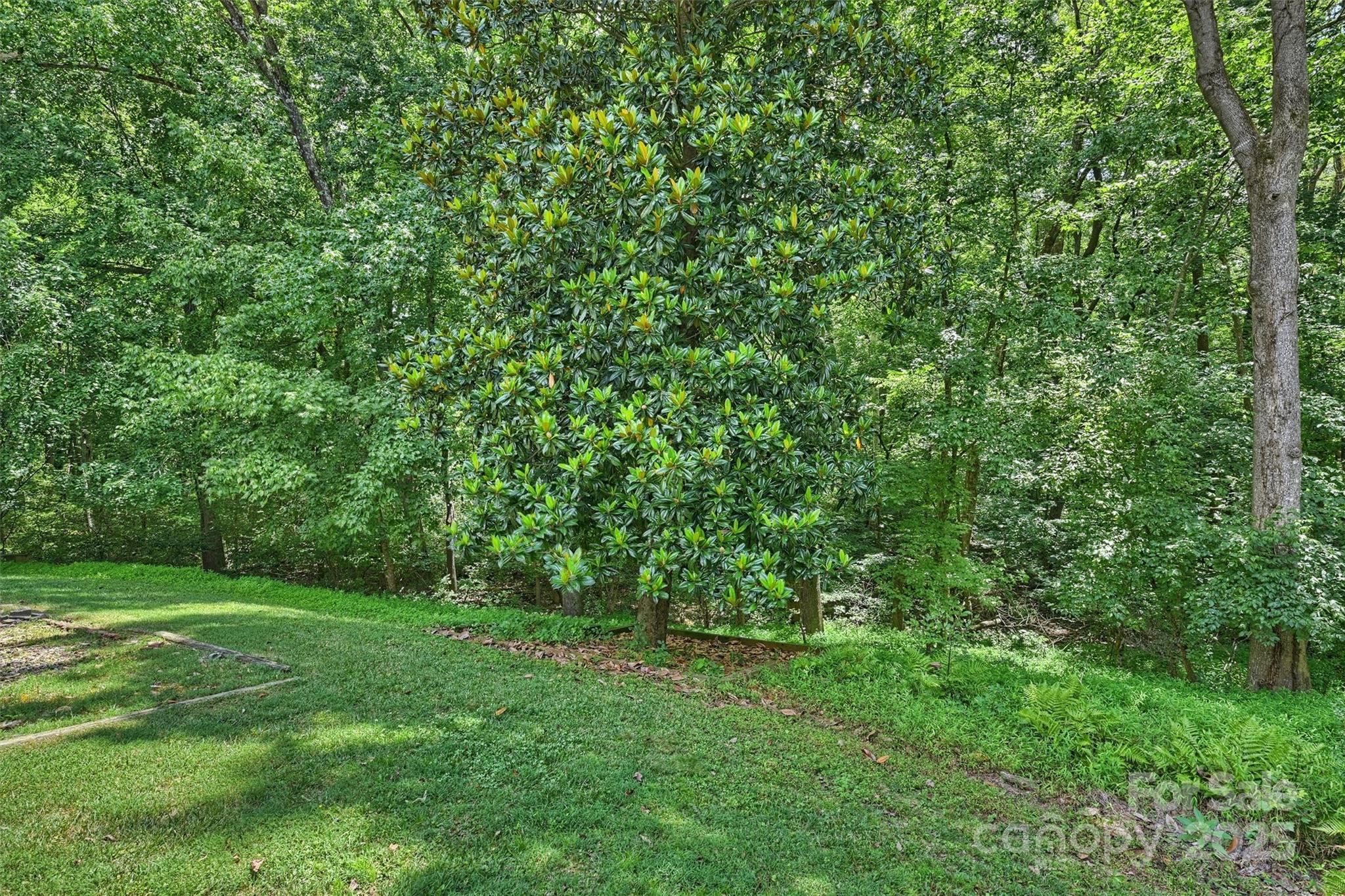 6115 Coltswood Court, Charlotte, NC - photo 35 of 39