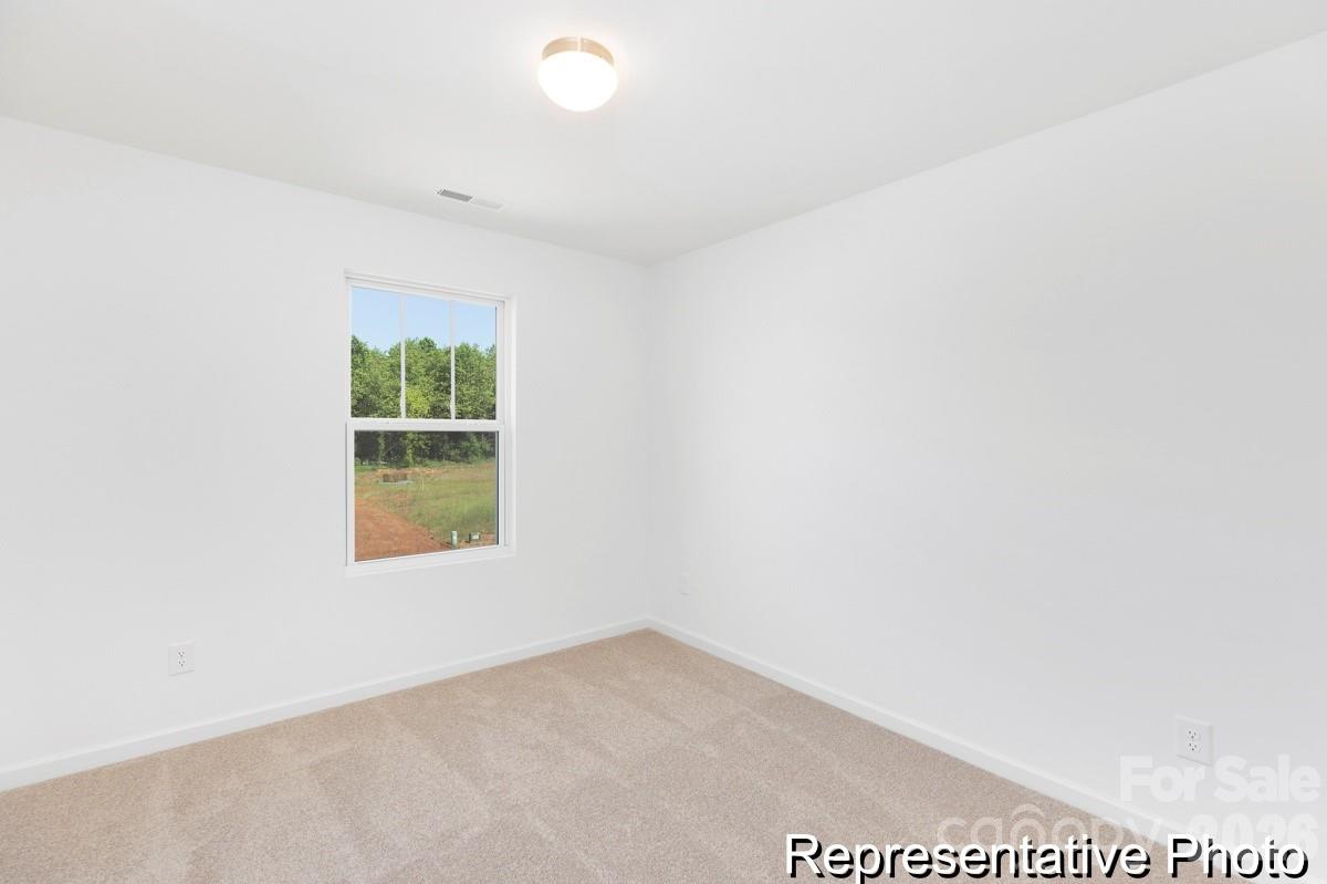 1741 Autumn Banks Way72p, High Shoals, NC - photo 15 of 19