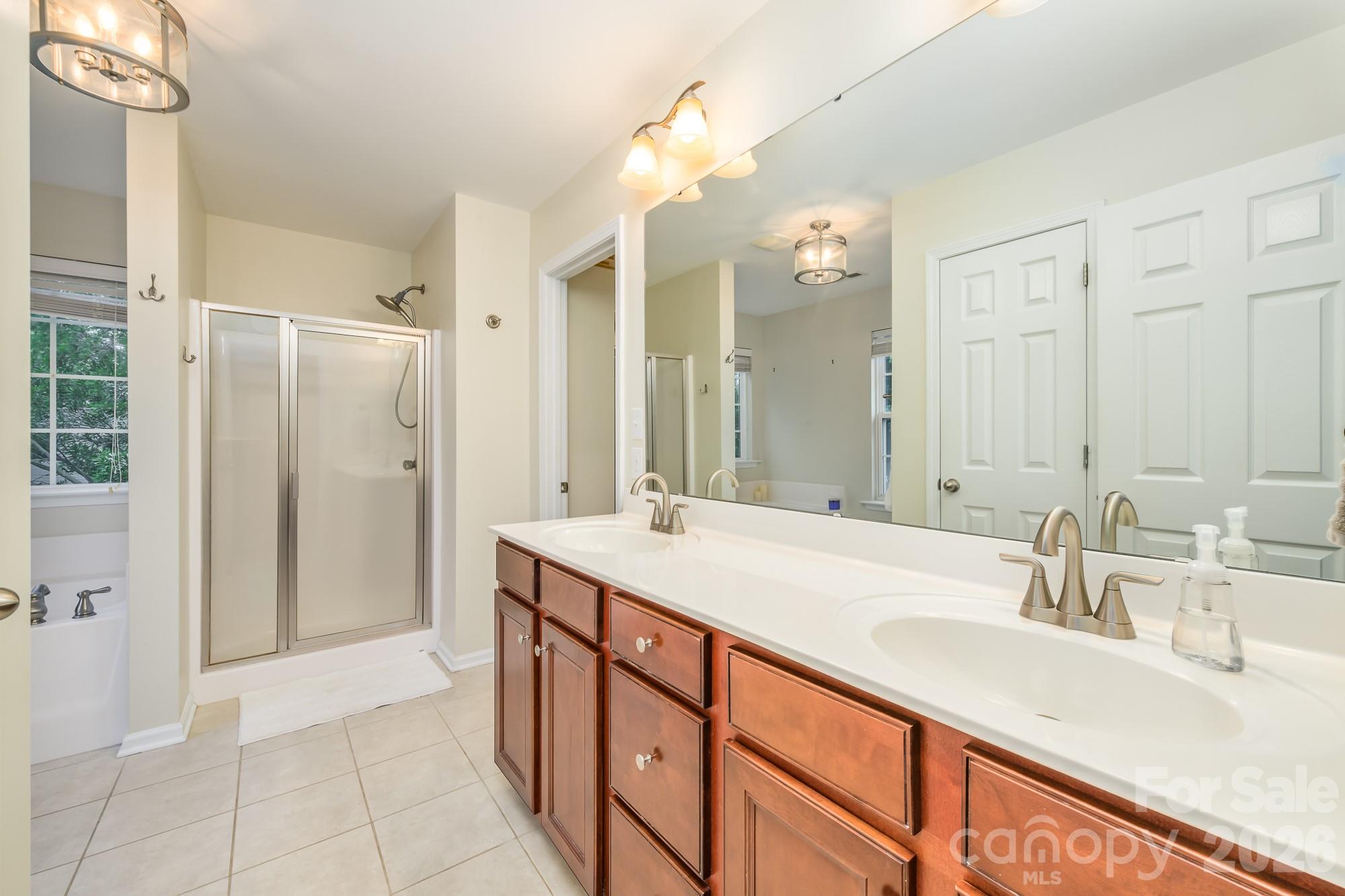 10732 Trolley Run Drive, Cornelius, NC - photo 31 of 49