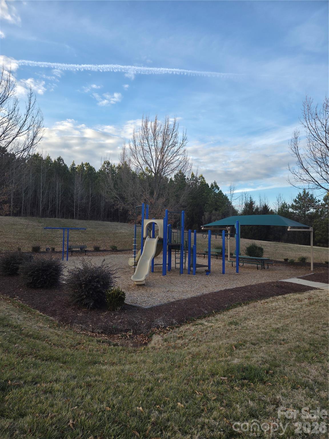 Photo 46 of 10229 Snowbell Court, Charlotte, NC