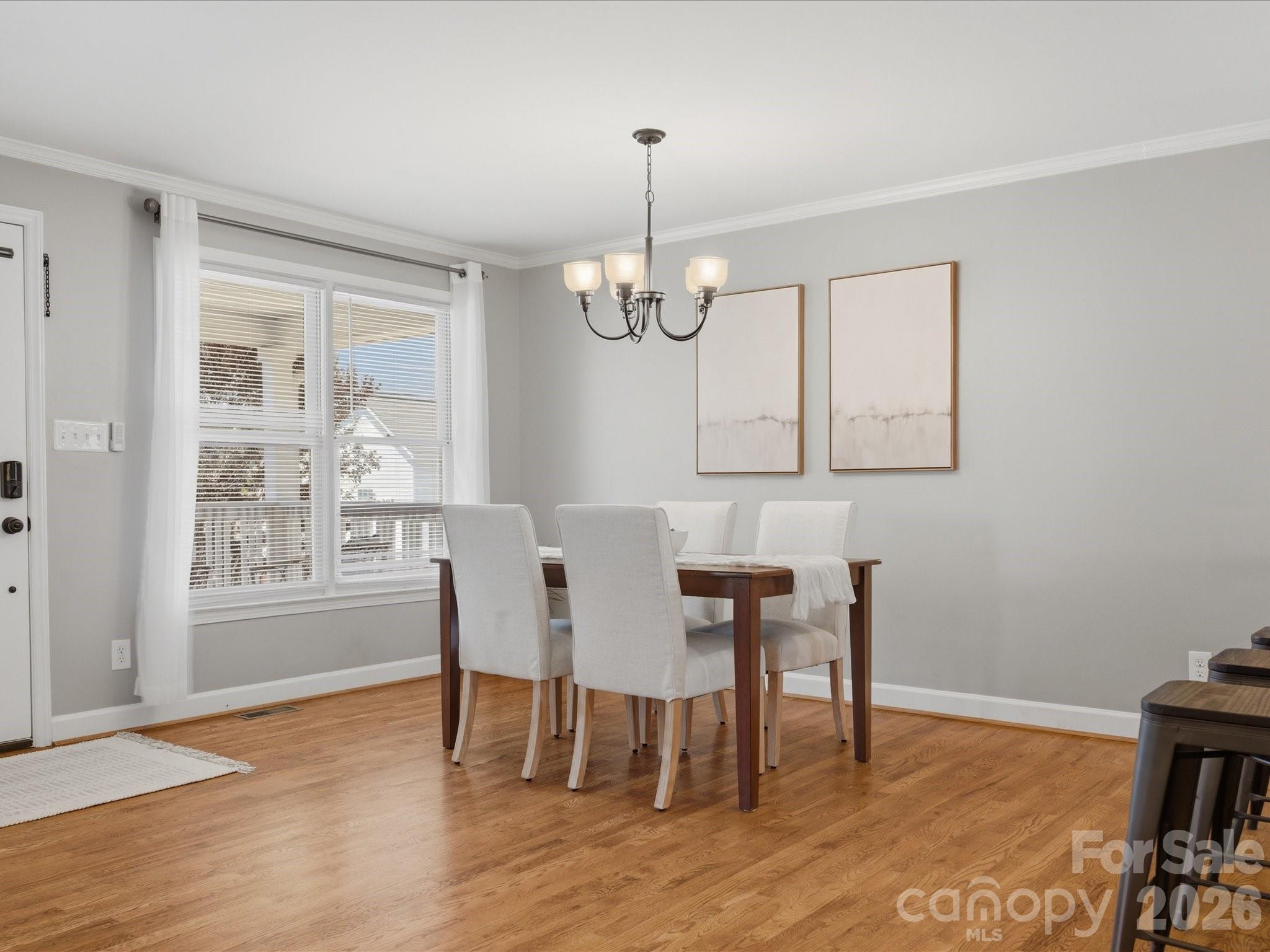 303 Sidney Johnson Street, Fort Mill, SC - photo 9 of 38