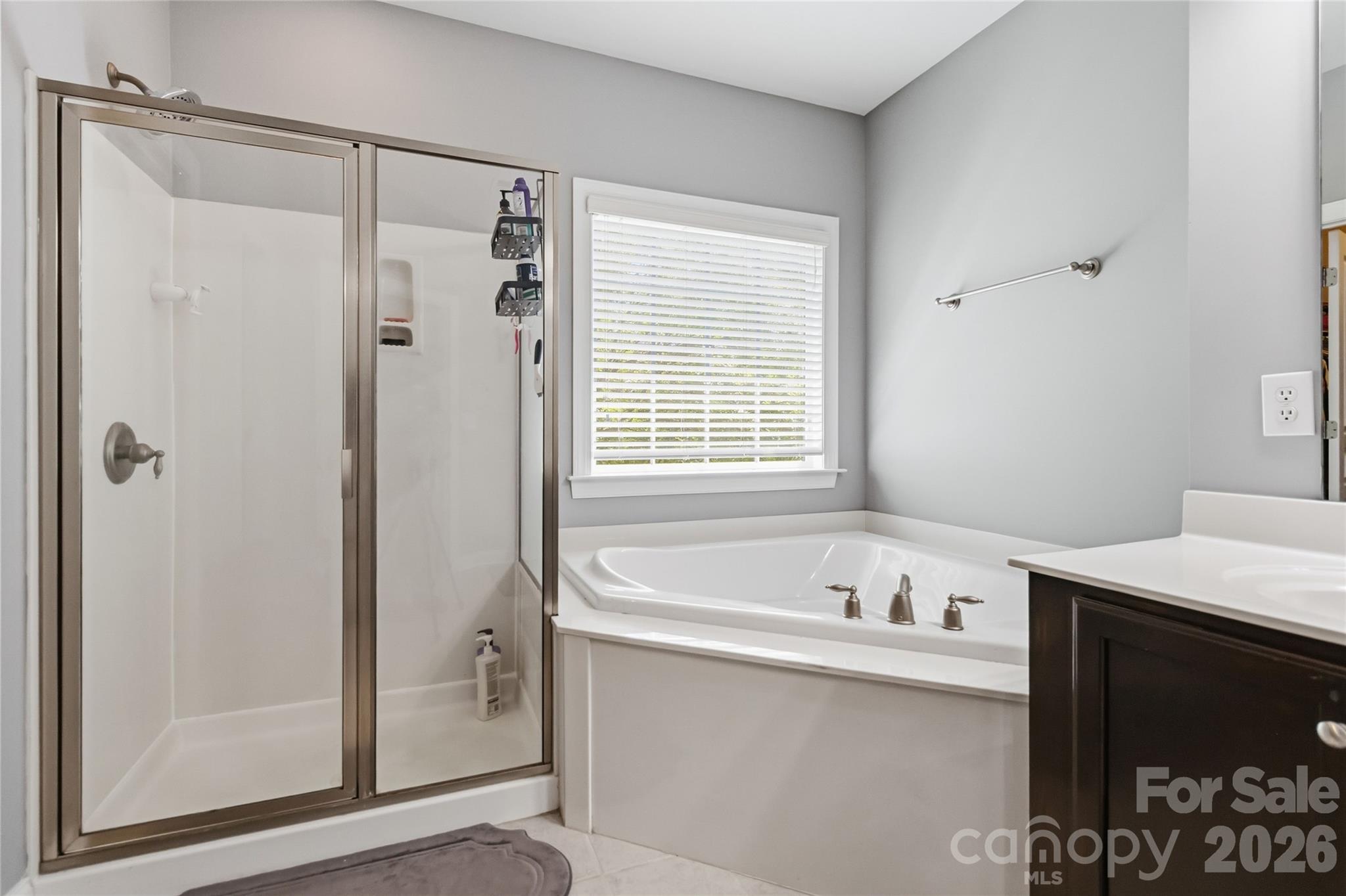 8500 Willow Branch Drive, Waxhaw, NC - photo 19 of 31