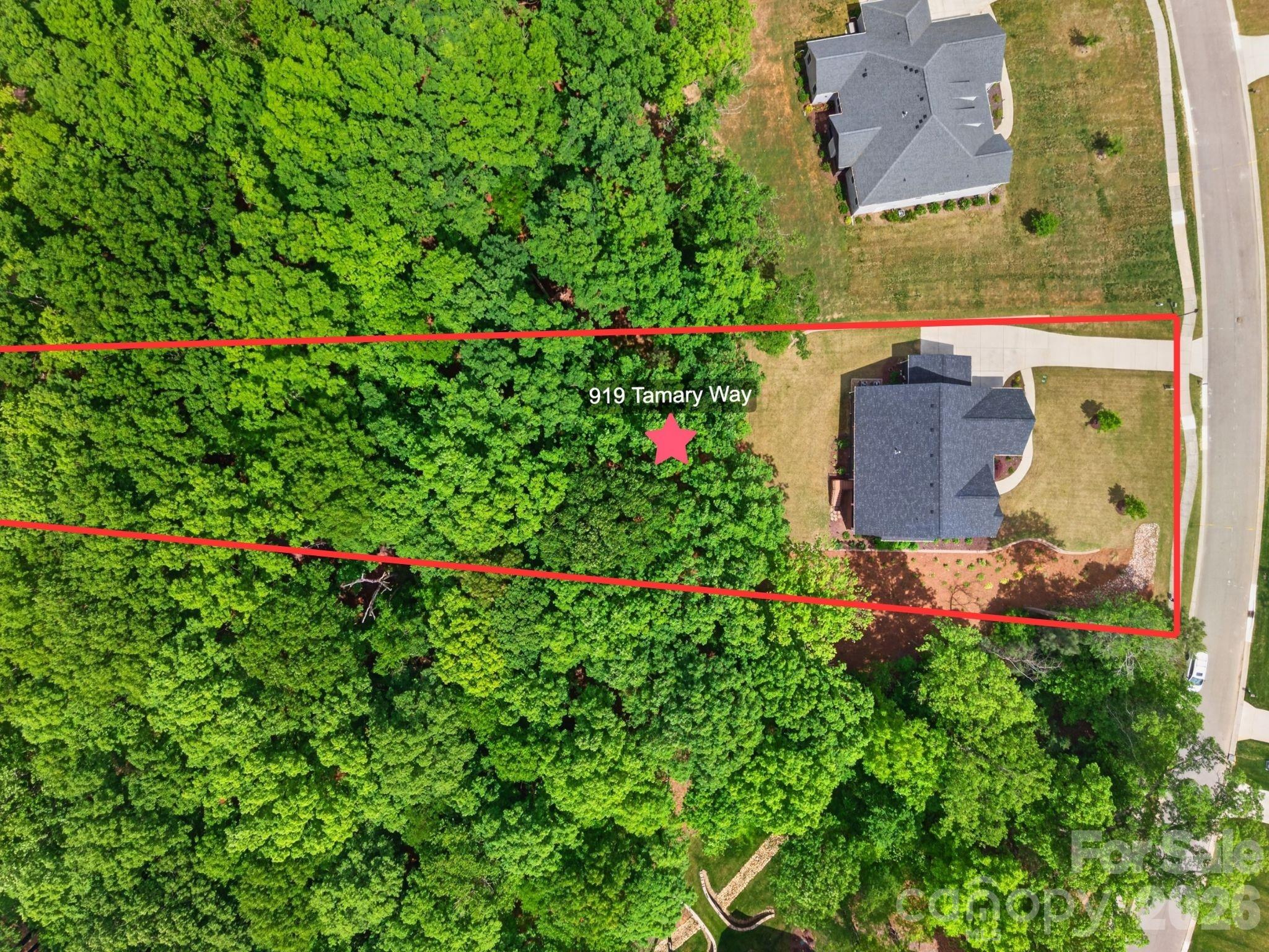 919 Tamary Way, Landis, NC - photo 5 of 48