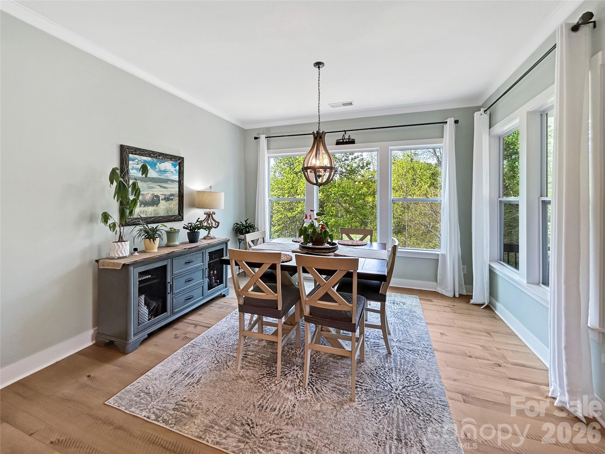 3085 Fish Story Court, Fort Mill, SC - photo 11 of 48