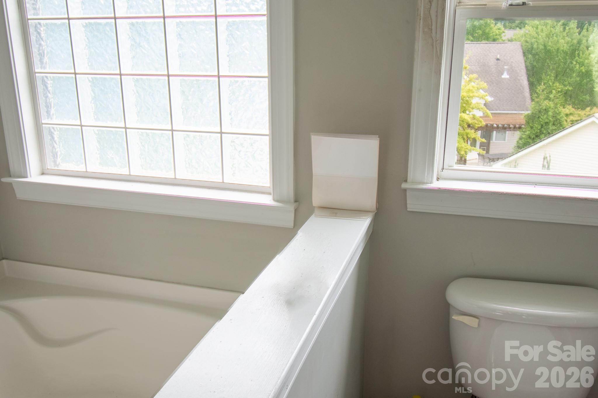 9904 Adelie Court, Cornelius, NC - photo 20 of 33