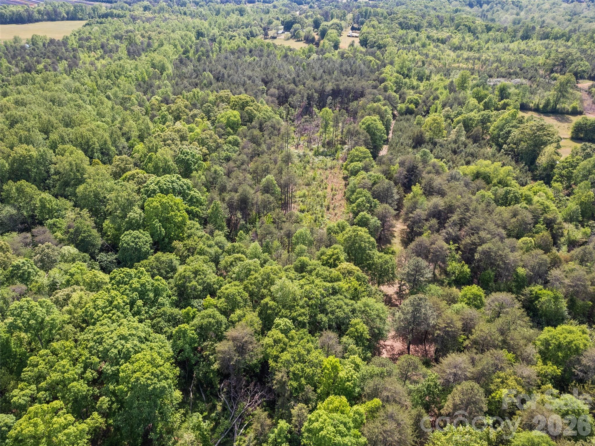 311 Soco Gap Road, Ellenboro, NC - photo 22 of 25