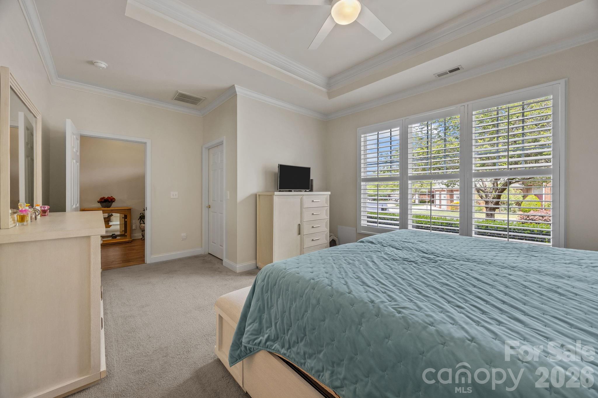 13323 Mint Lake Drive, Matthews, NC - photo 17 of 25