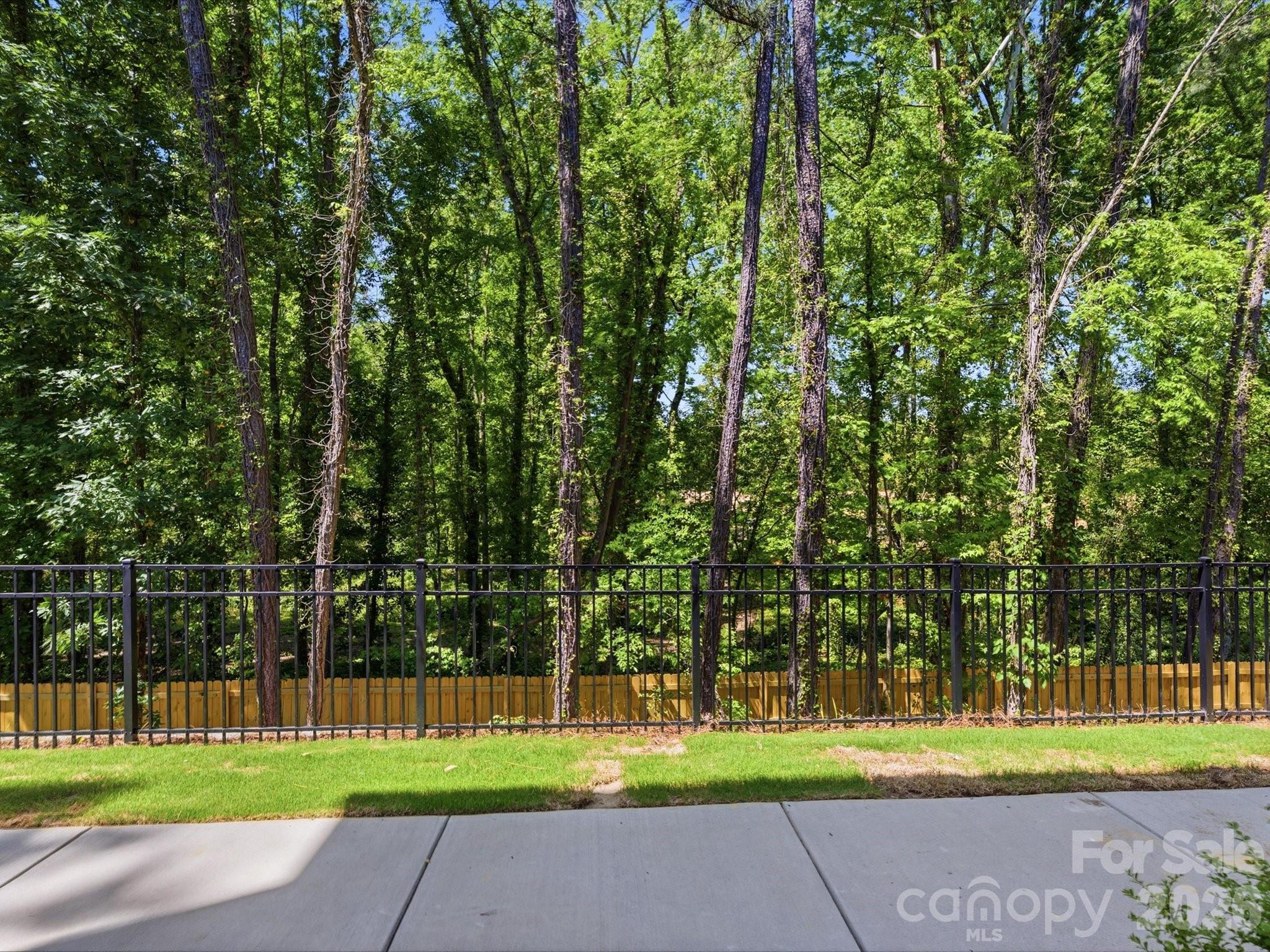 Photo 3 of 1534 Lithium Lane, Charlotte, NC