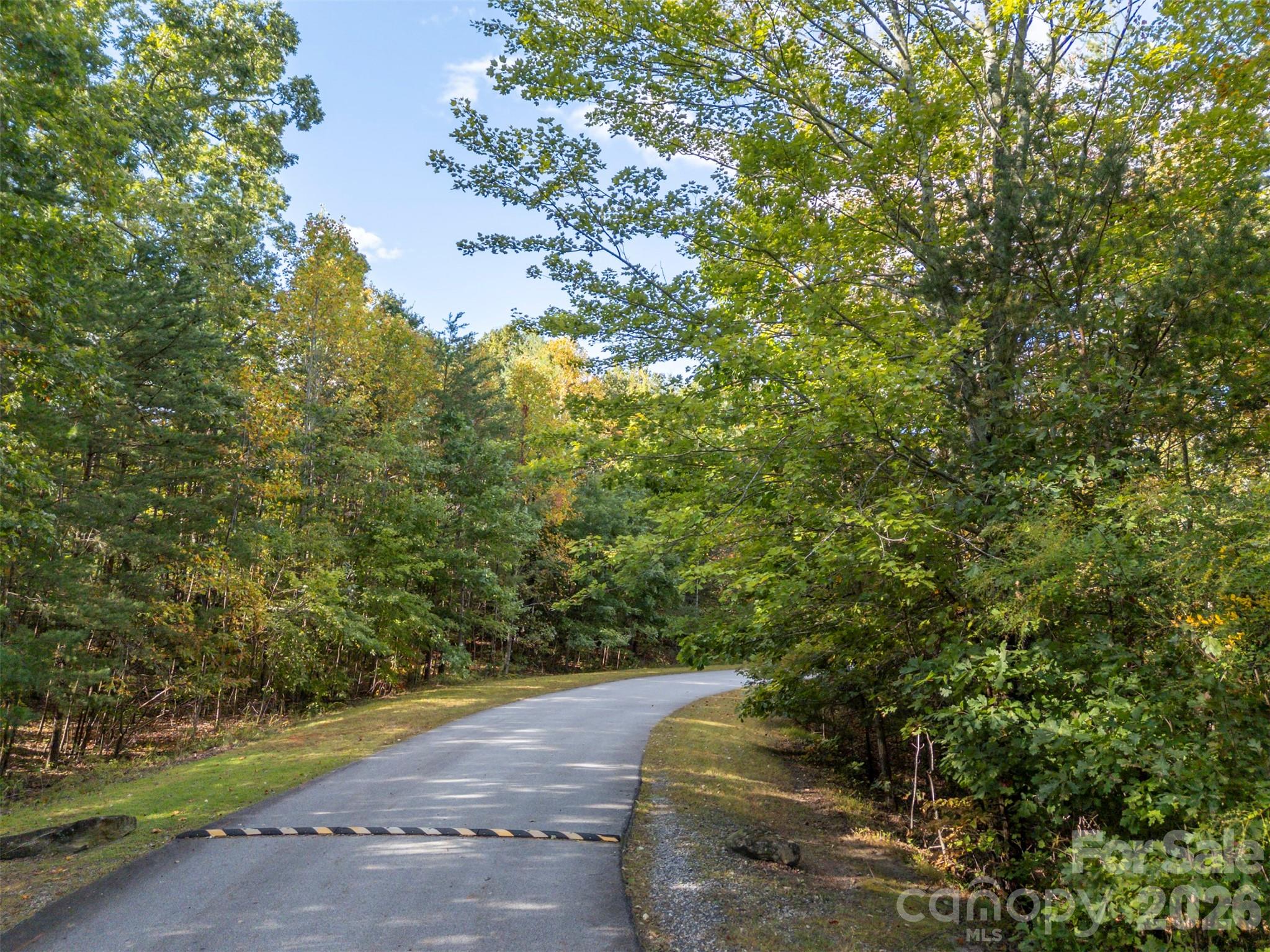 100 Pardo Road, Landrum, SC - photo 8 of 21