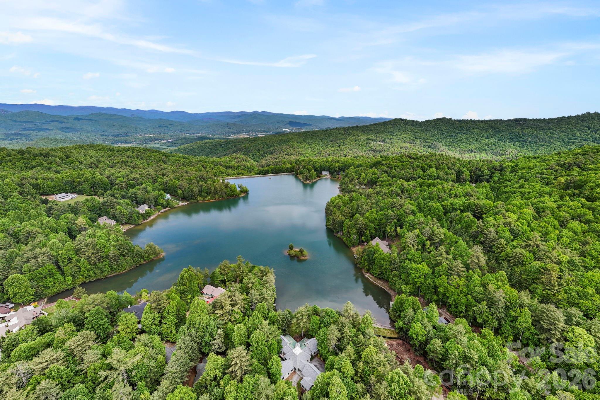 1592 Eagle Lake Drive154, Brevard, NC - photo 8 of 44