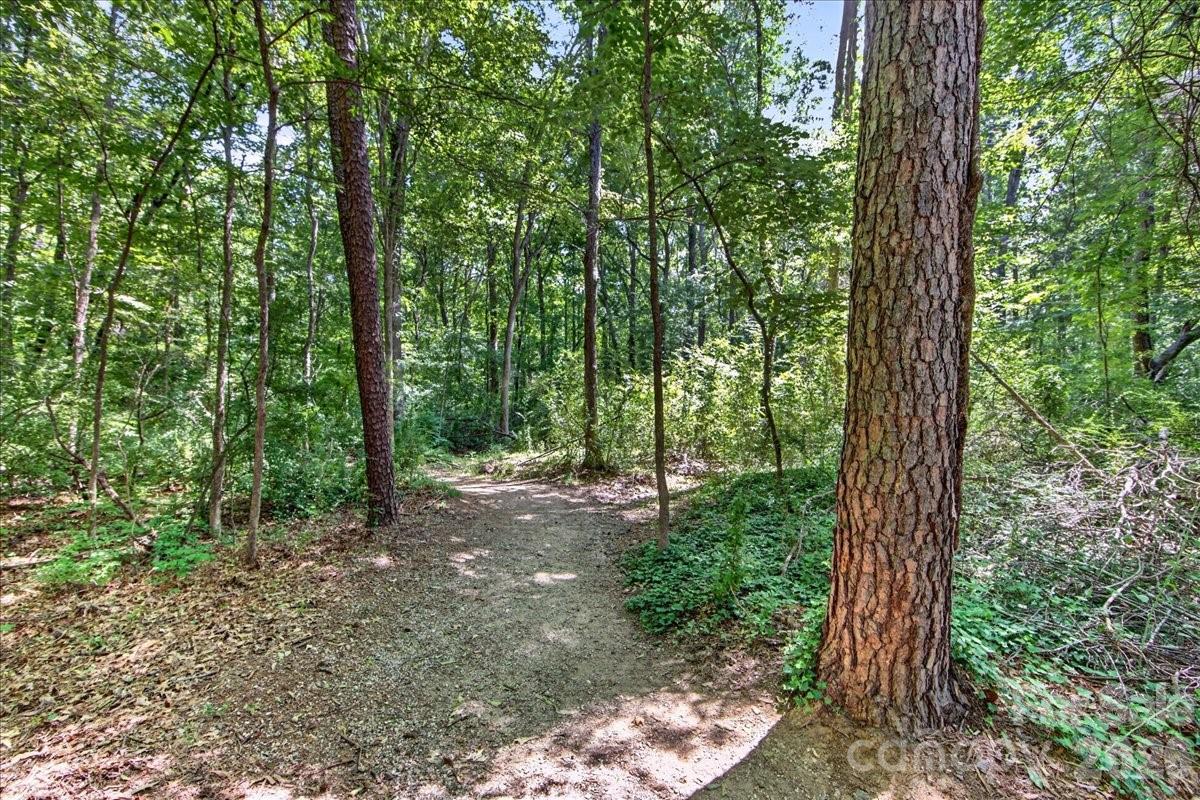 6410 Latta Springs Circle, Huntersville, NC - photo 41 of 49