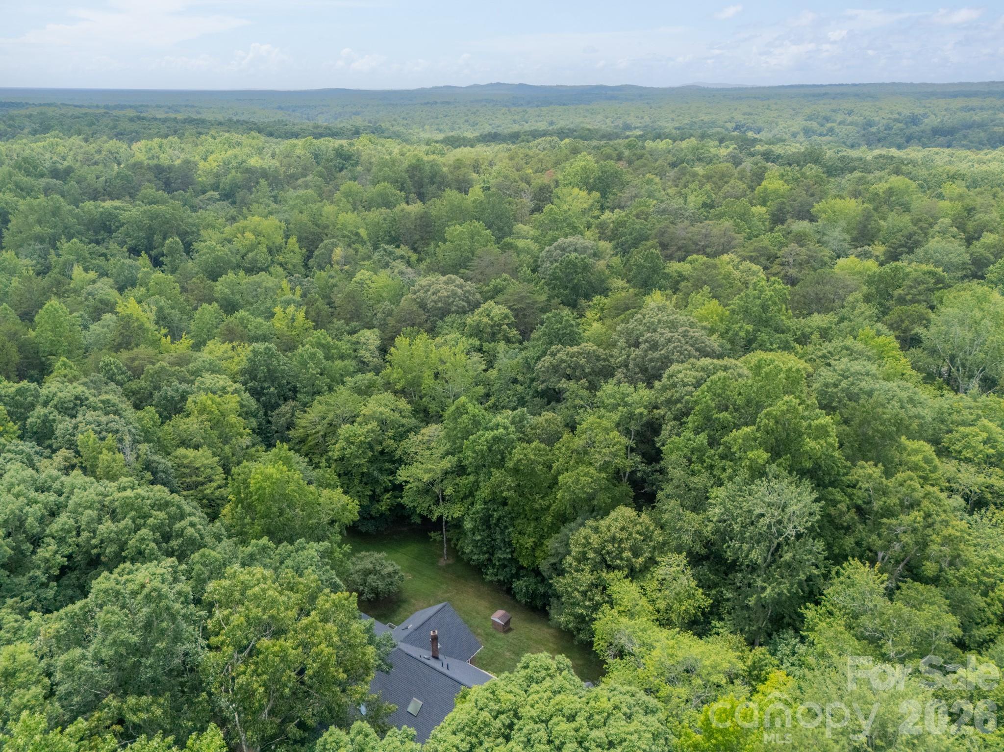 253 Highway 161 None N, Clover, SC - photo 45 of 46