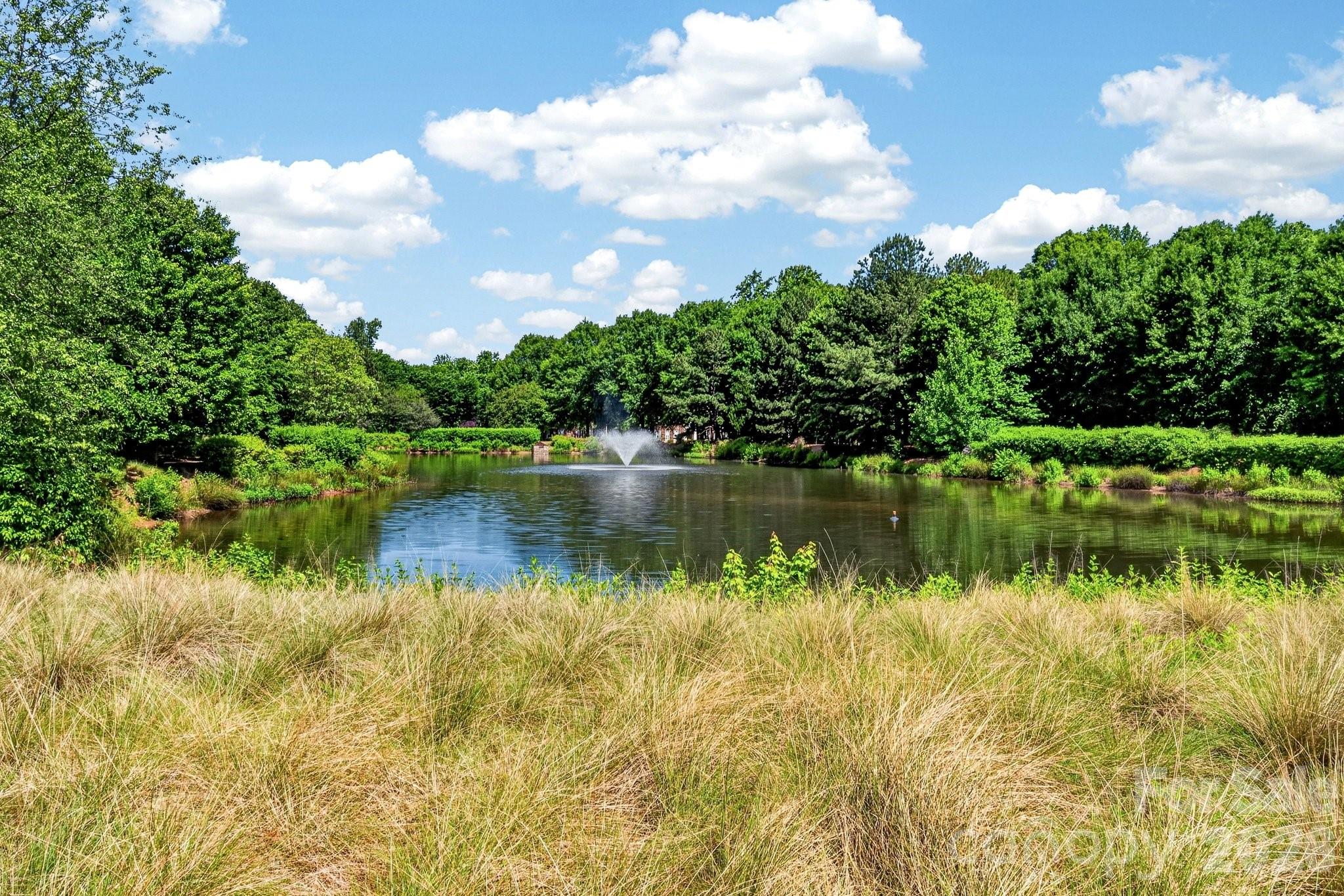 262 Harbour Place Drive15, Davidson, NC - photo 34 of 36