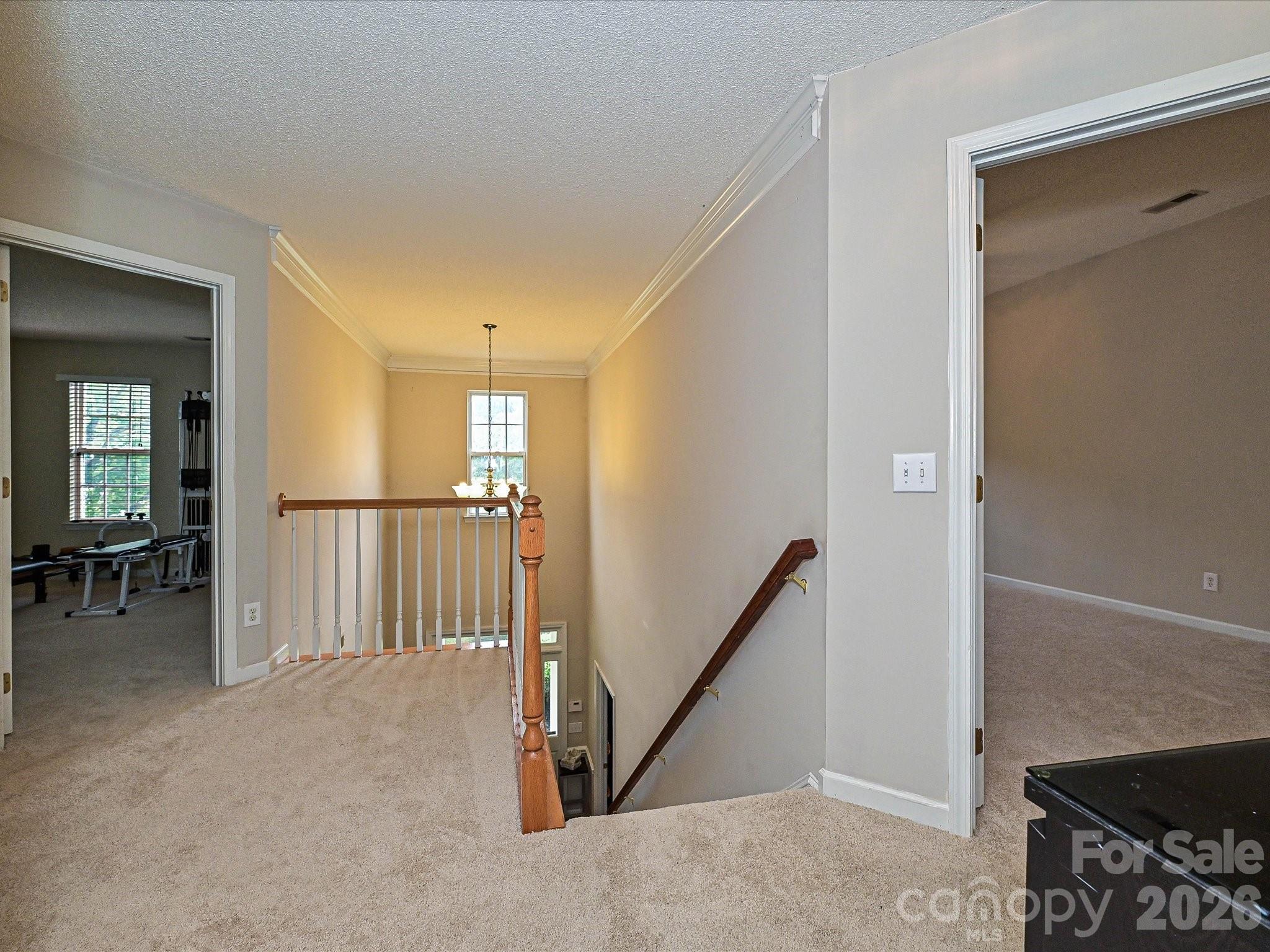Home for sale at 6719 Reedy Creek Road, Charlotte, NC — photo 21 of 36