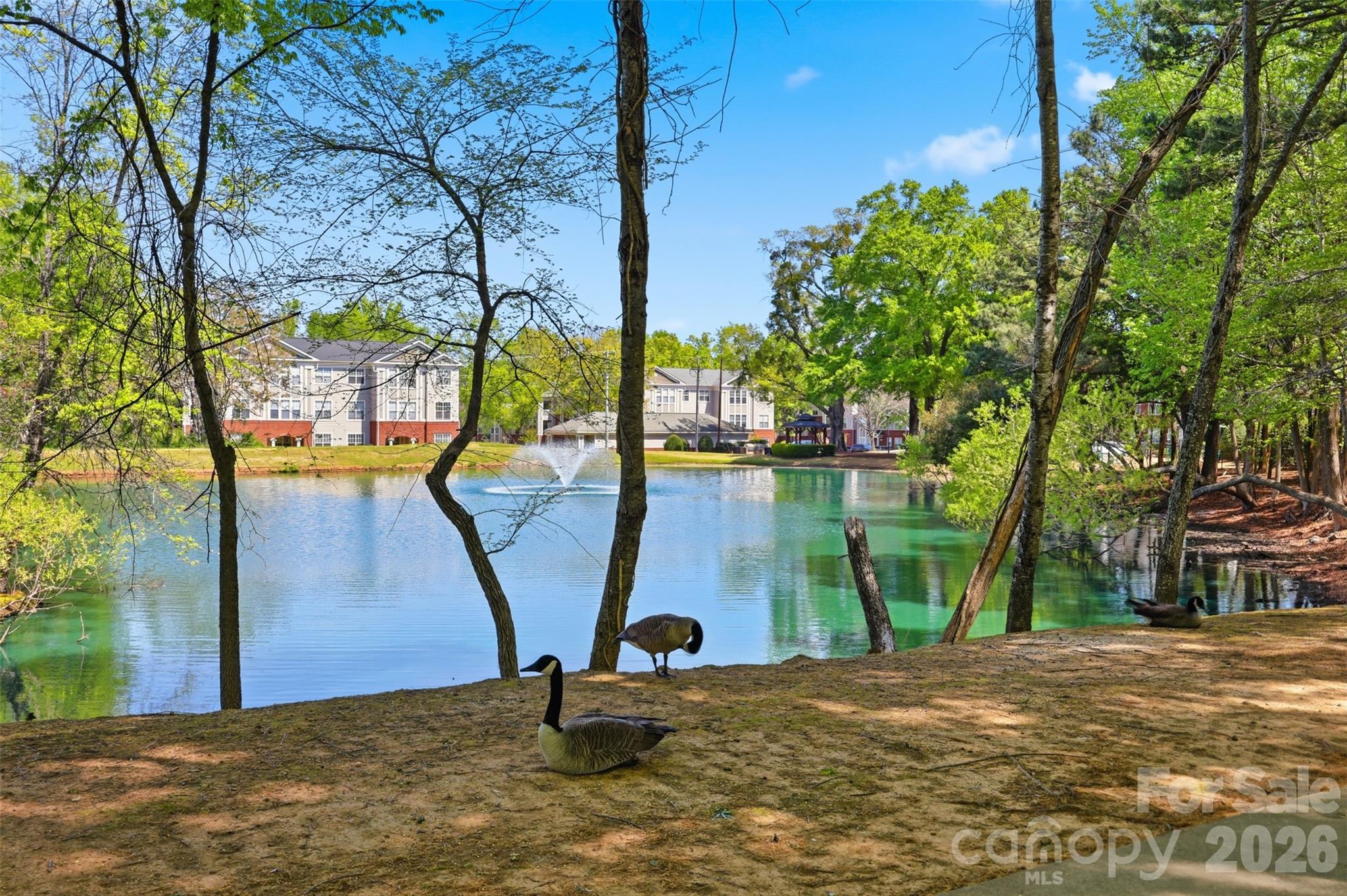 Photo 45 of 11520 Destin Lane, Charlotte, NC