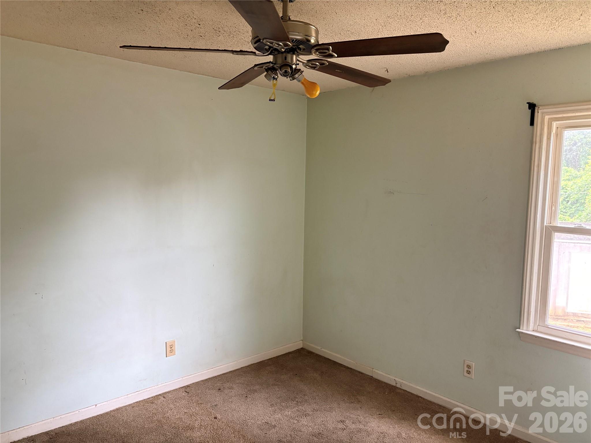 Photo 9 of 875 Rolling Green Drive, Rock Hill, SC