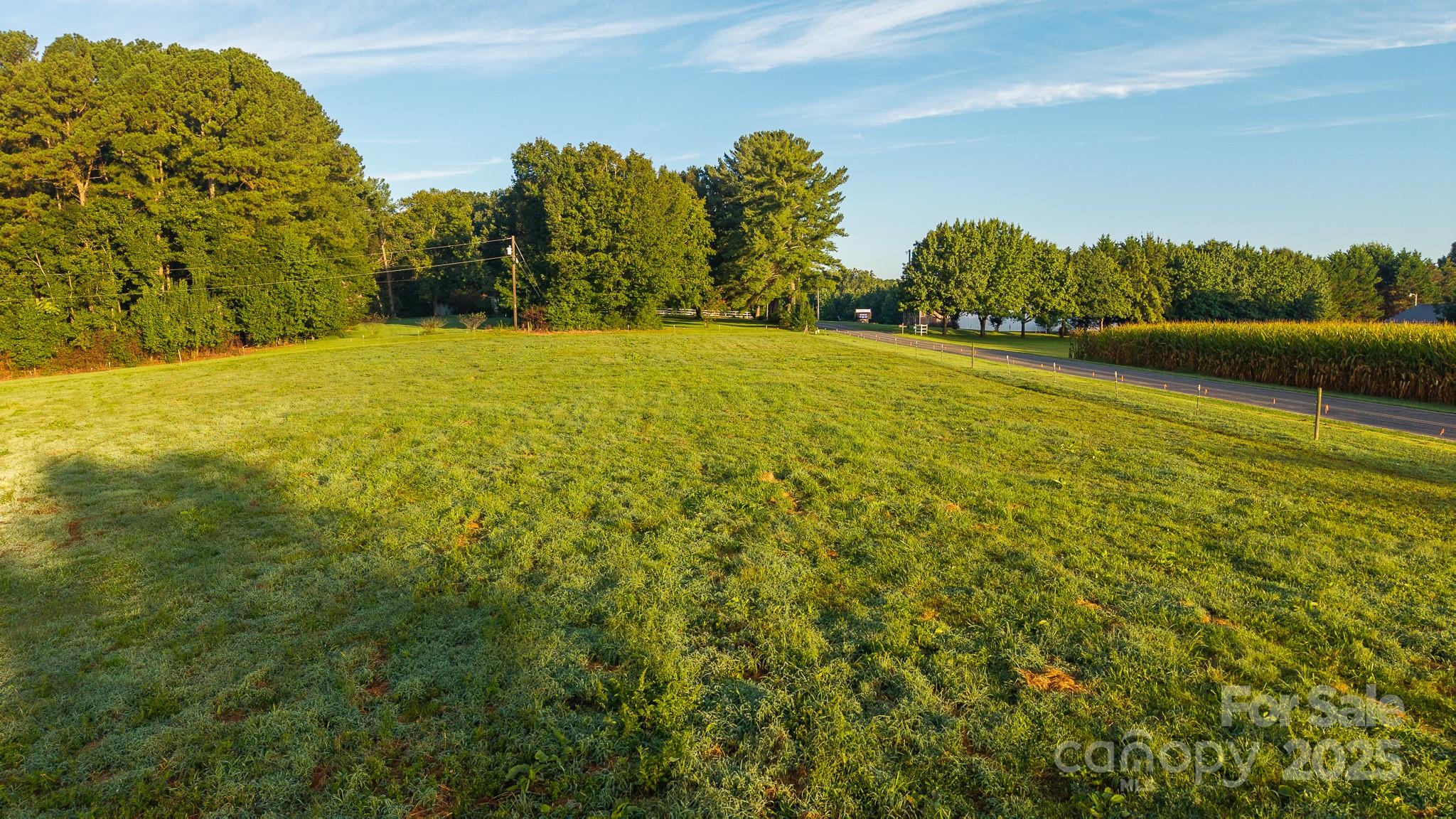 167 Buck Hollow Trail, Ararat, NC - photo 33 of 45
