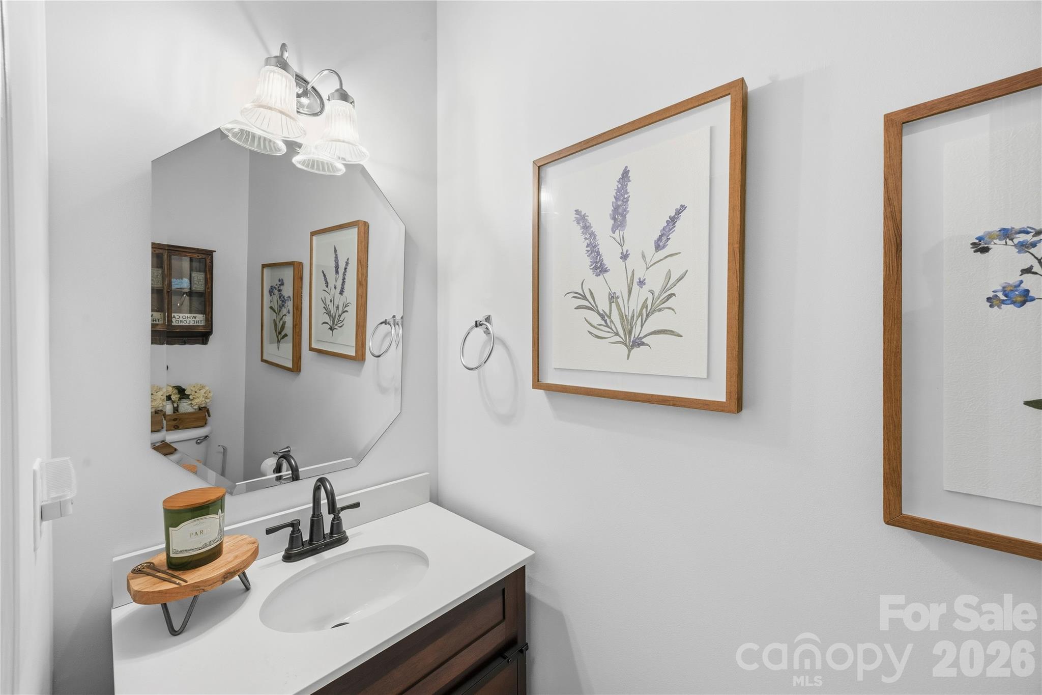 3041 Kilbeggan Drive, Lake Wylie, SC - photo 14 of 40