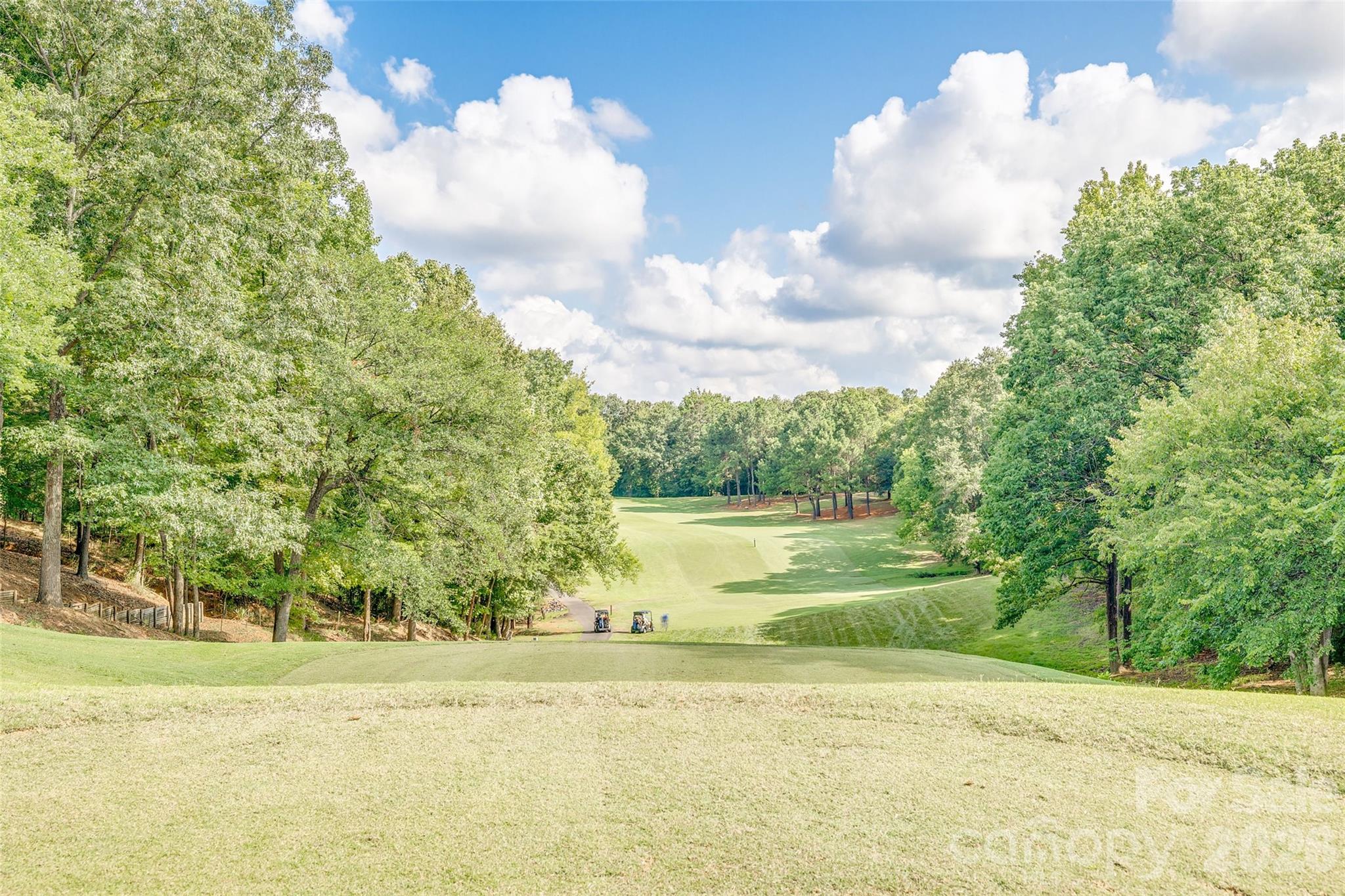 1039 Hunters Run Drive, Tega Cay, SC - photo 35 of 38