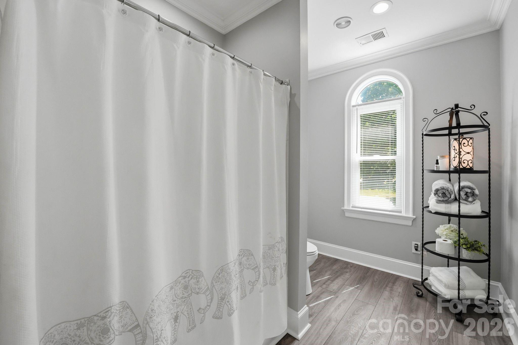 18928 Peninsula Point Drive, Cornelius, NC - photo 40 of 48